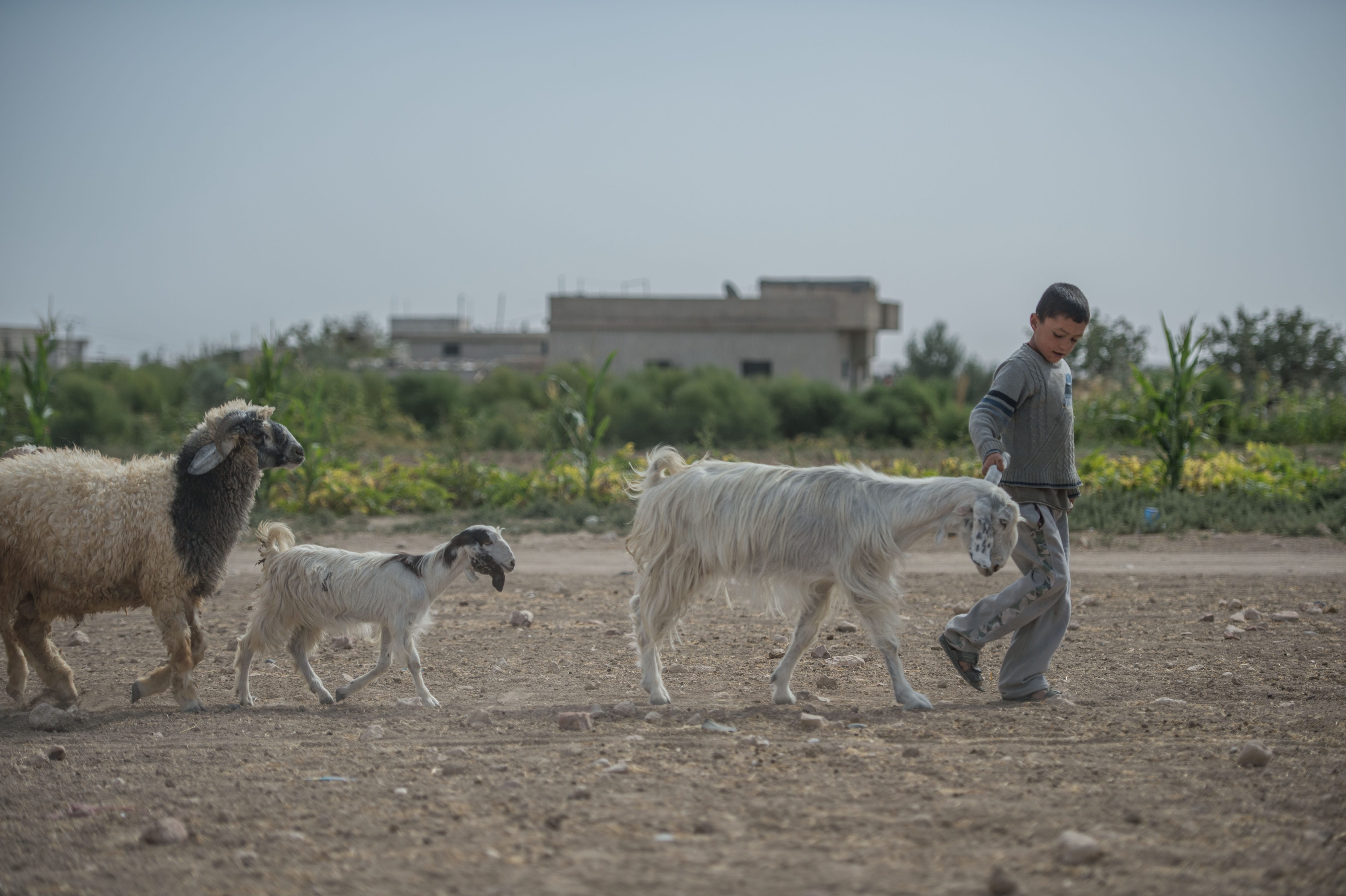 Photos: From the frontline in Syria – Middle East Monitor