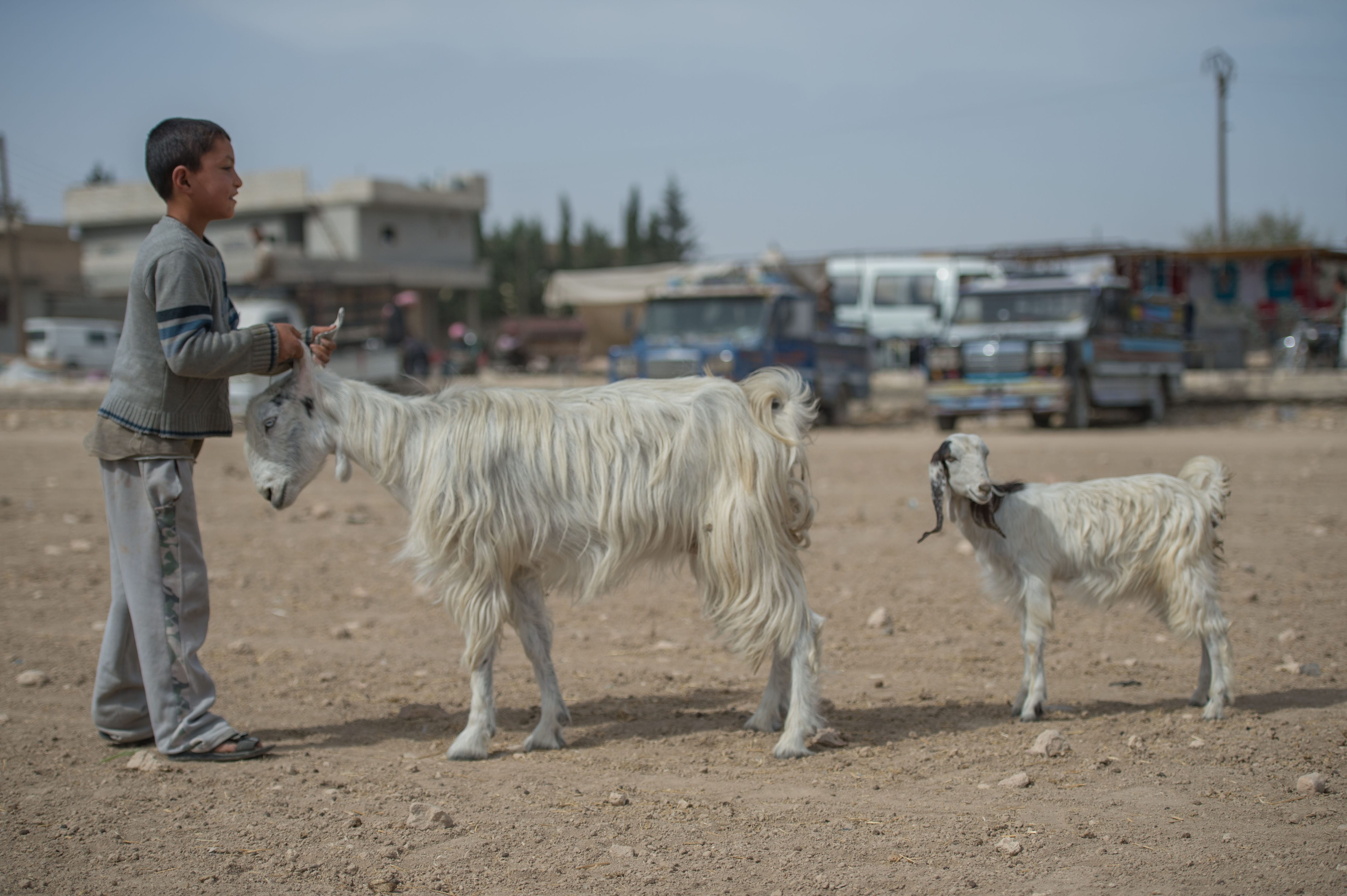 Photos: From the frontline in Syria – Middle East Monitor