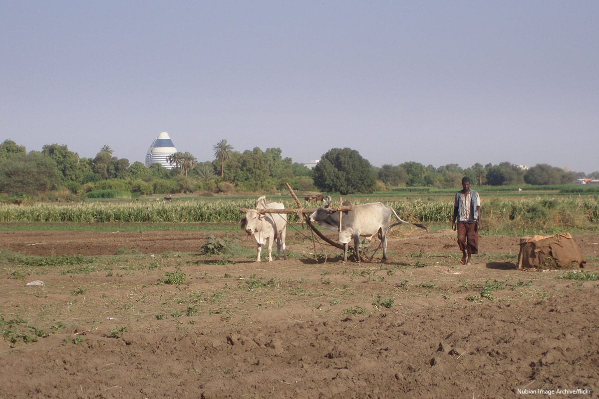 The week in pictures – Middle East Monitor