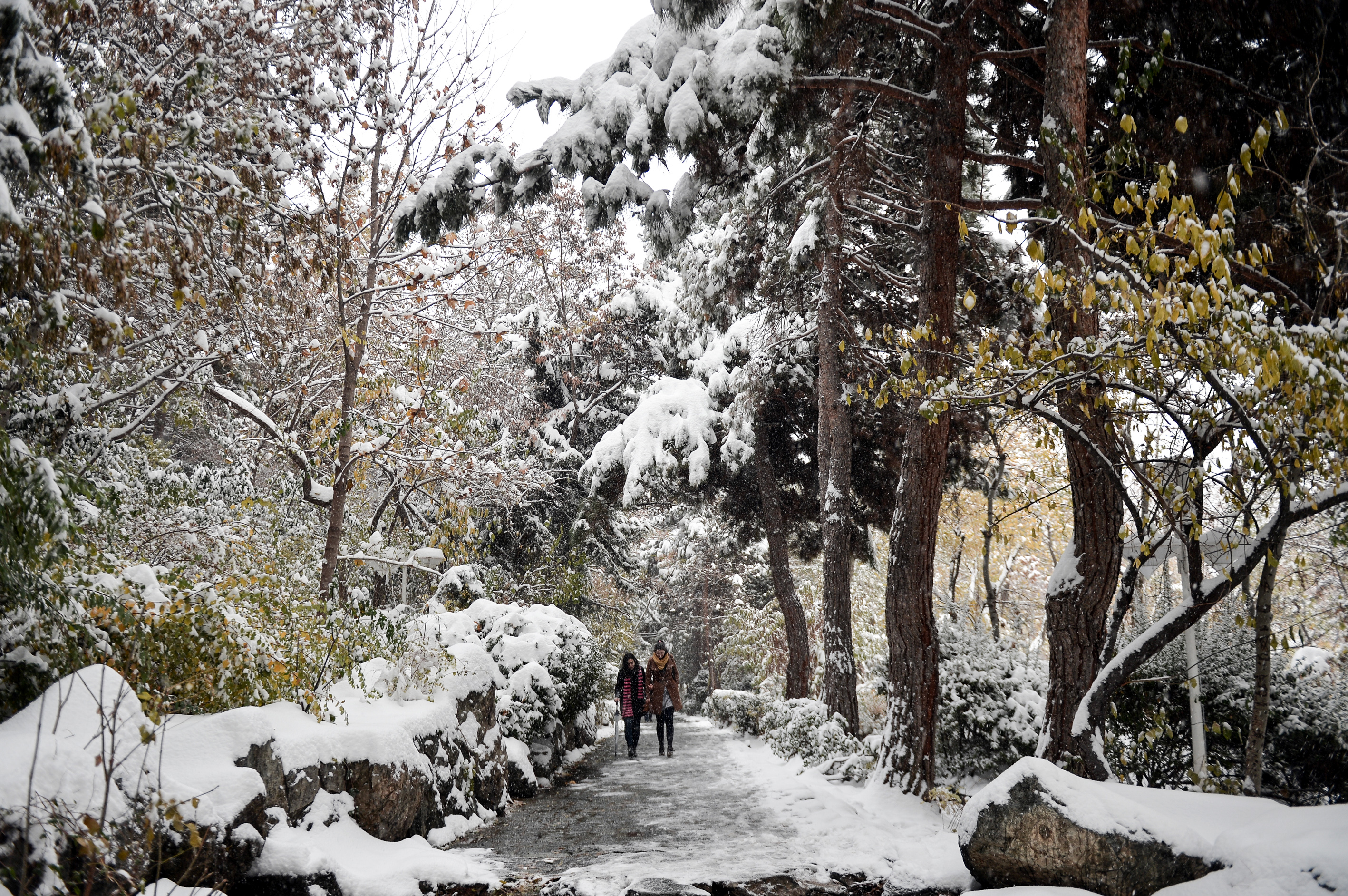 Snowfall in Tehran – Middle East Monitor