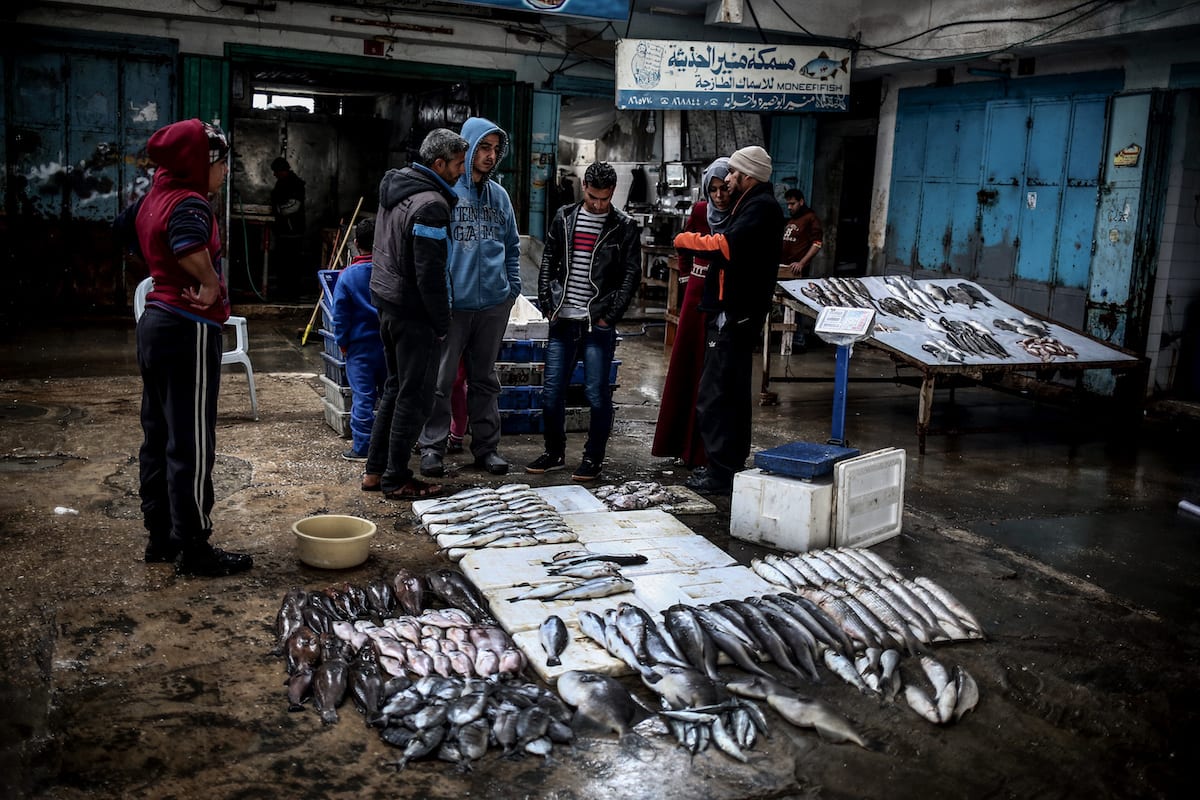 Gaza fish market opened – Middle East Monitor