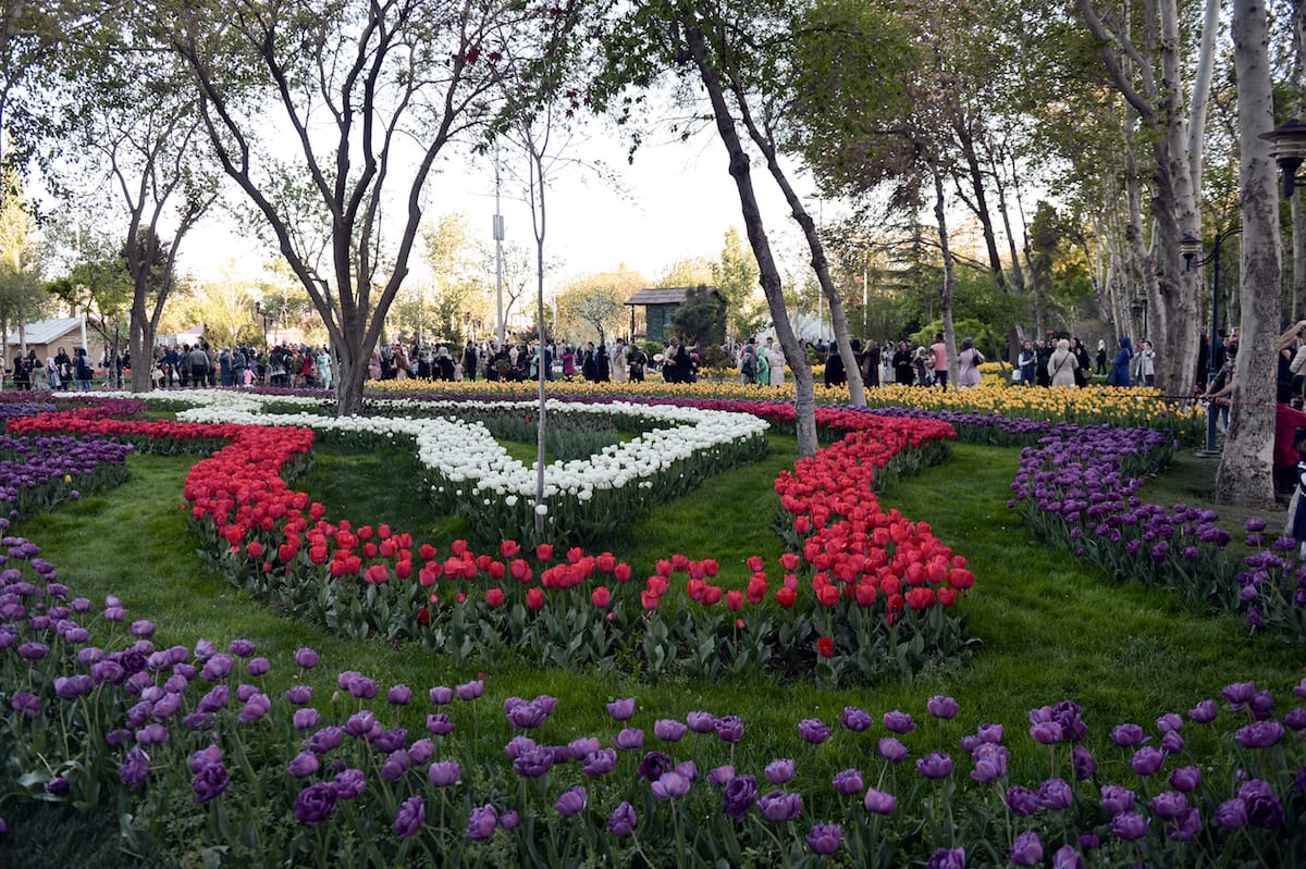 Tulip festival in Iran – Middle East Monitor
