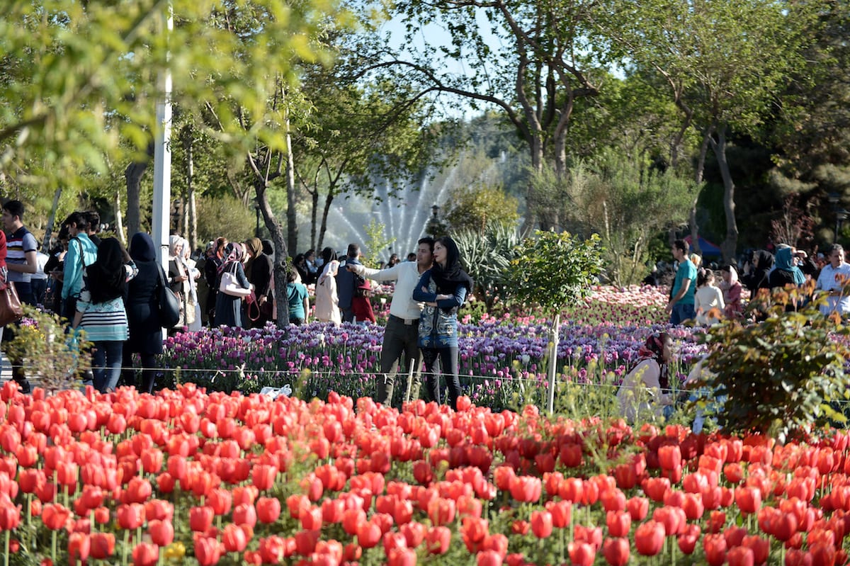 Tulip festival in Iran – Middle East Monitor