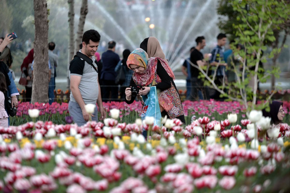 Tulip festival in Iran – Middle East Monitor