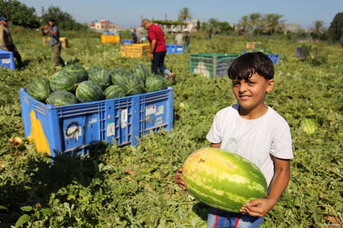 The week in pictures – Middle East Monitor