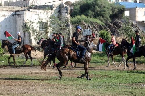 GAZA CITY, GAZA – AUGUST 02: Palestinians ride horses as they hold ...