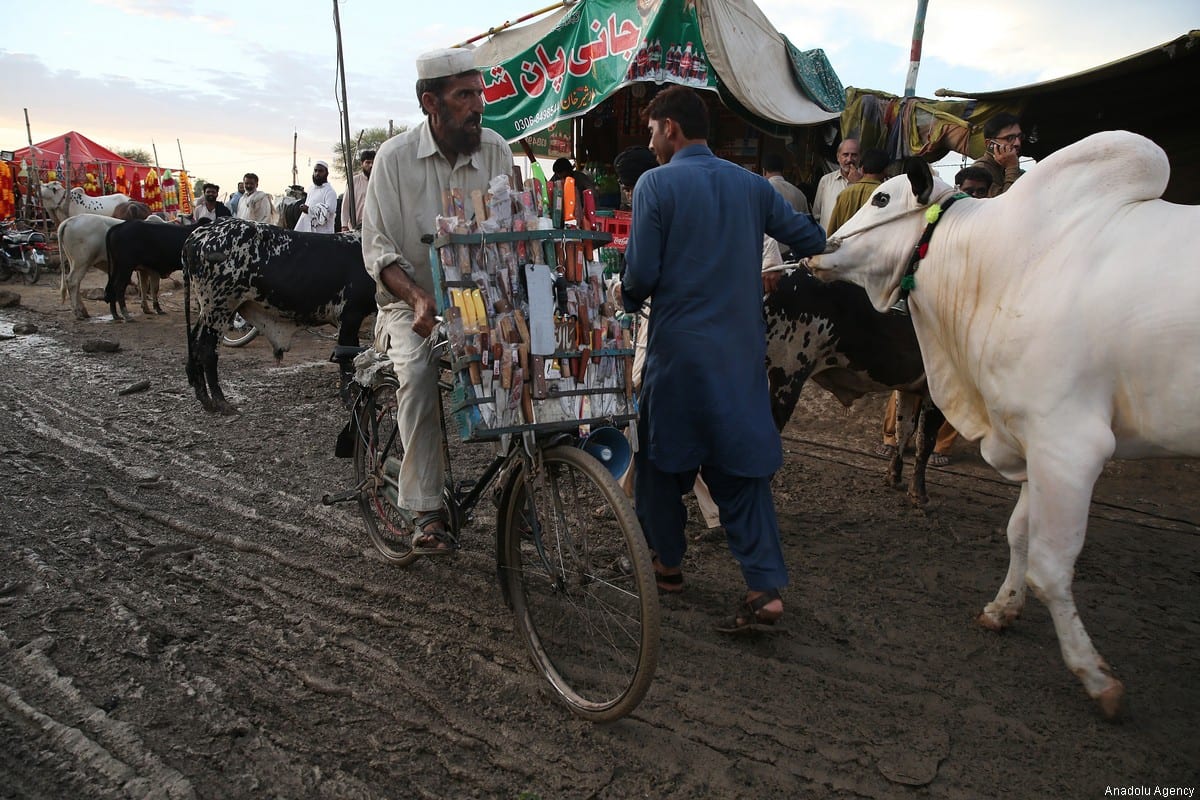 Eid al-Adha in Pakistan – Middle East Monitor