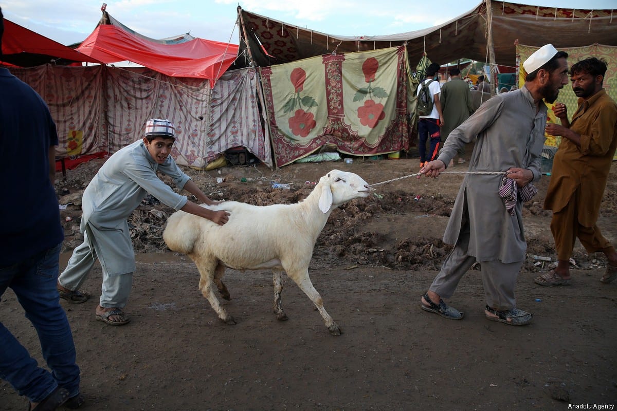 Eid al-Adha in Pakistan – Middle East Monitor
