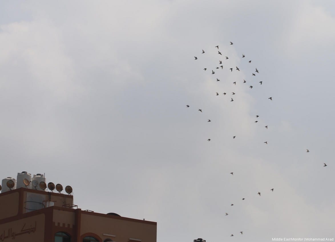 Gaza takes flight – Middle East Monitor