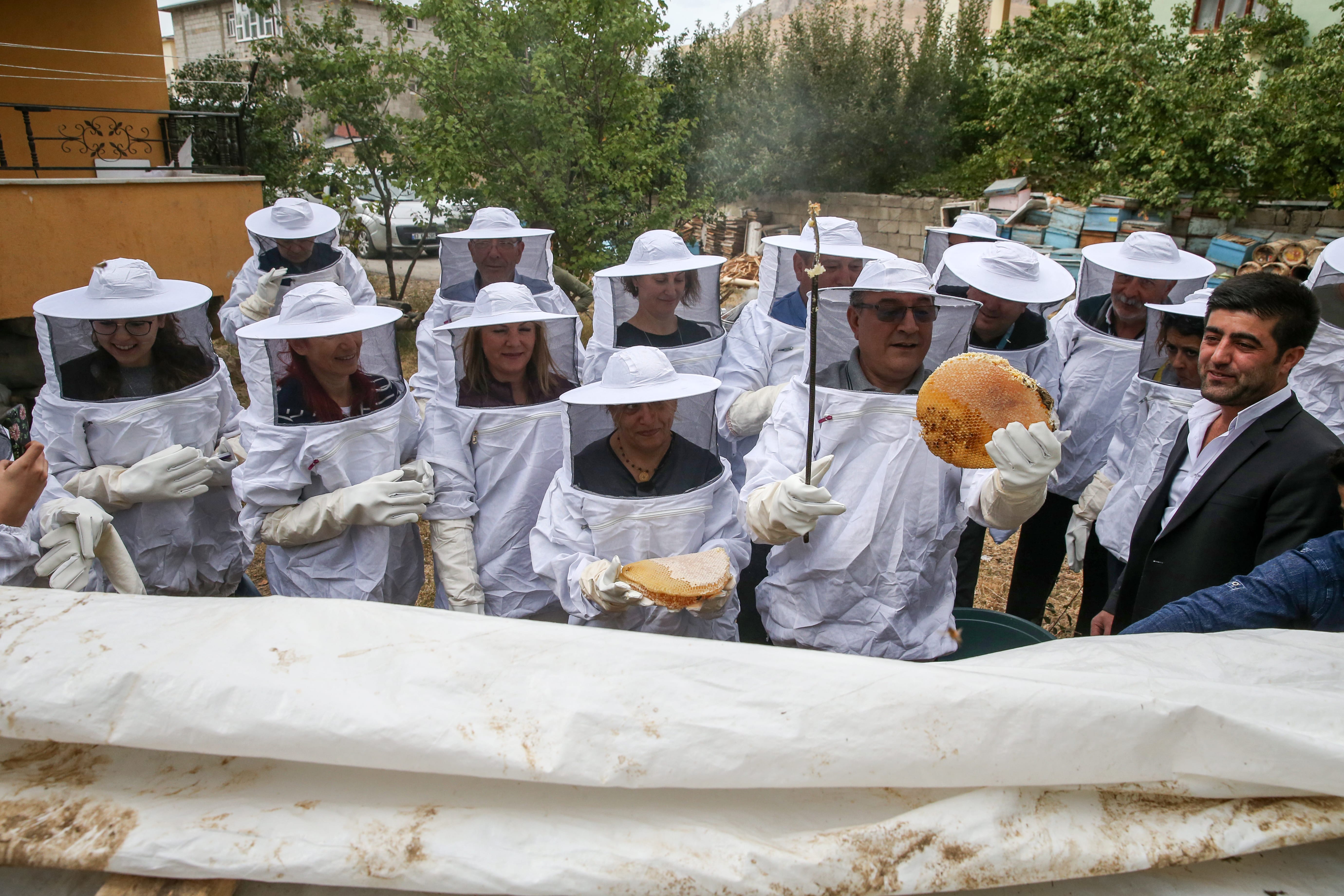 Honey harvest in Turkey – Middle East Monitor