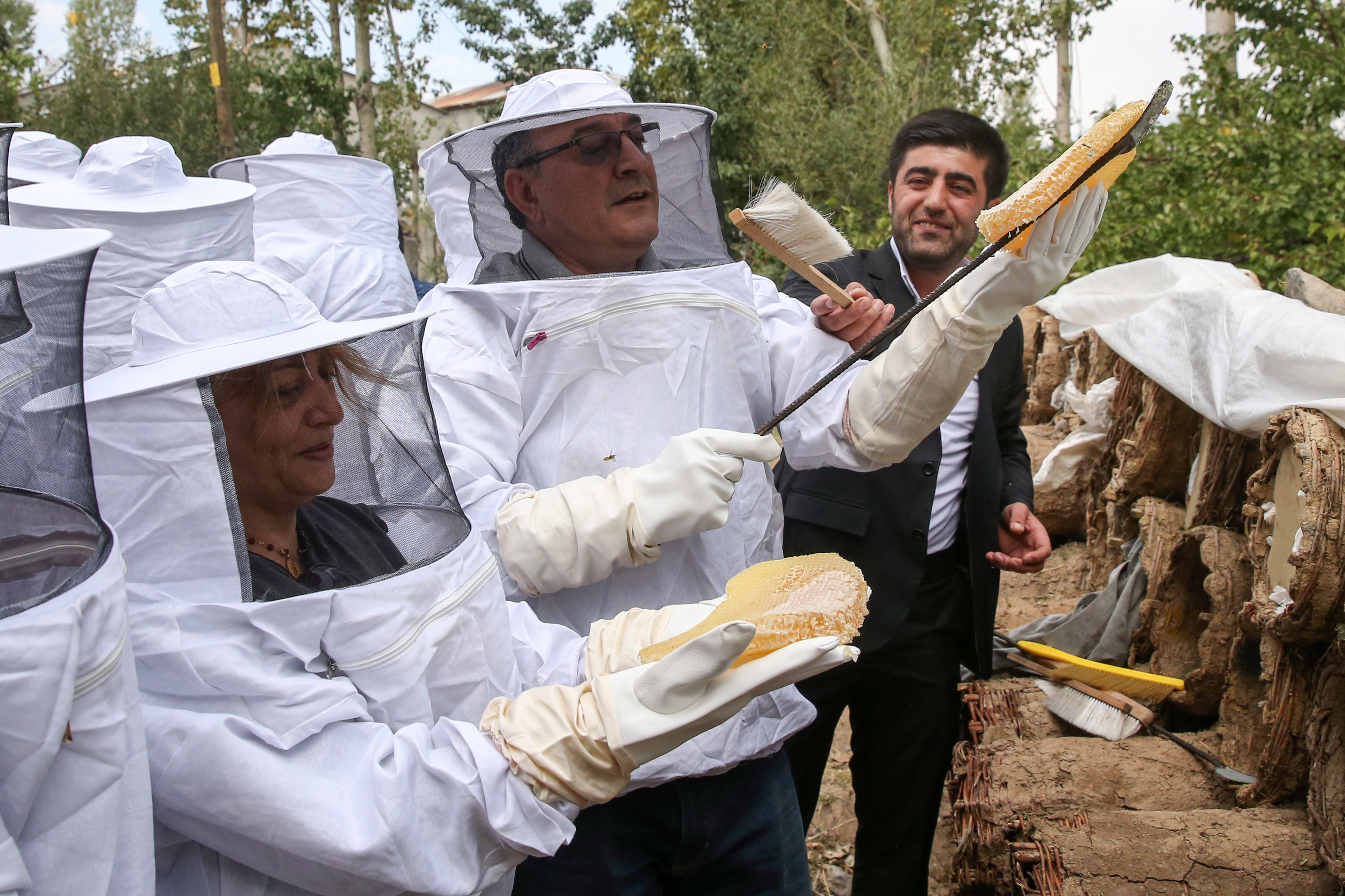 Honey harvest in Turkey – Middle East Monitor