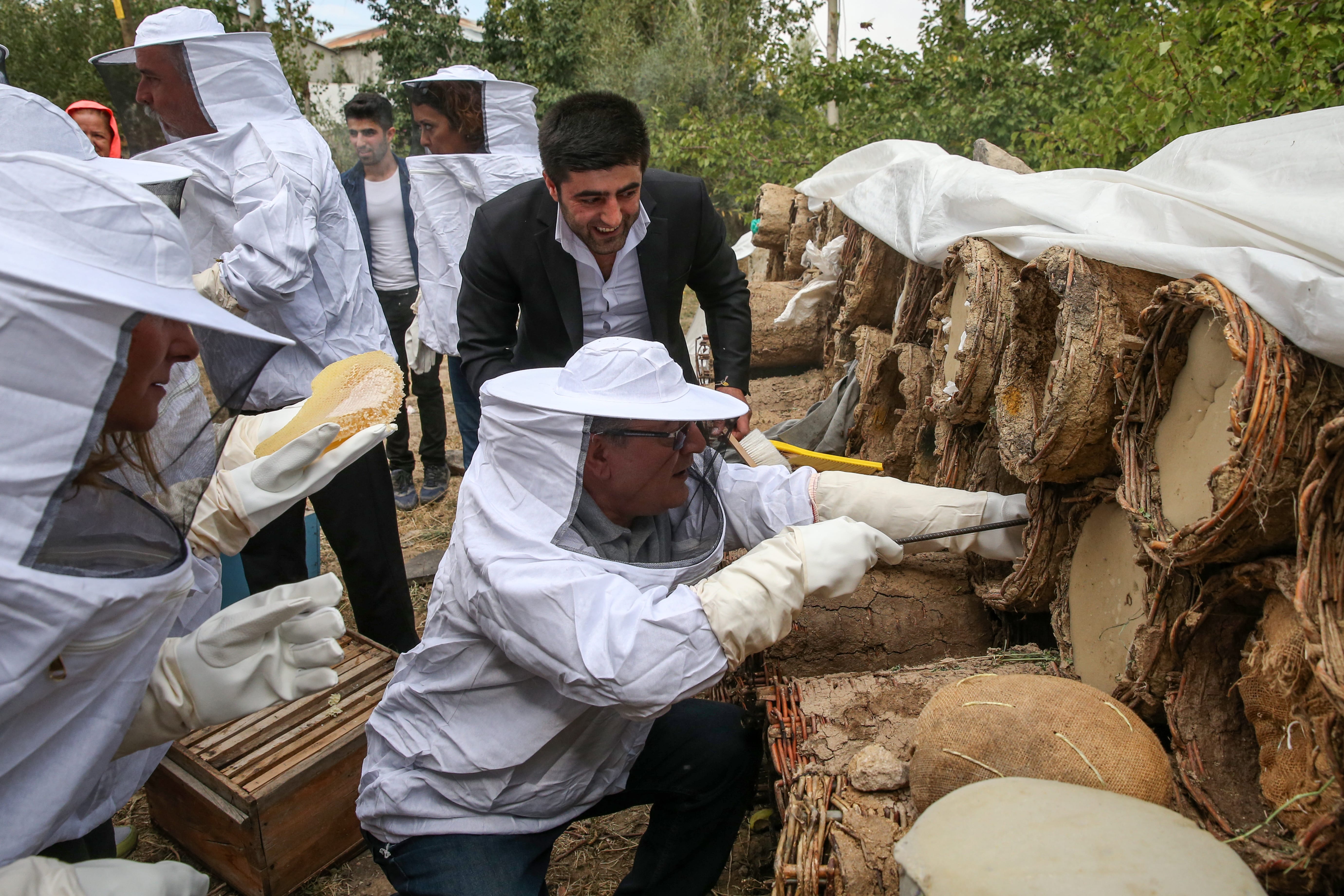 Honey harvest in Turkey – Middle East Monitor