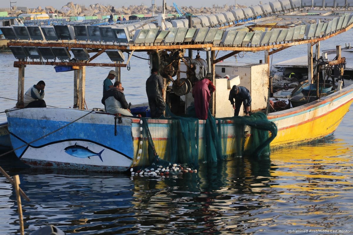 Catch of the day – Middle East Monitor