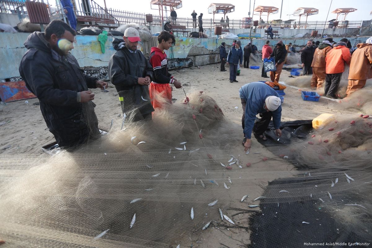 As the frost subsides Gaza’s fishermen catch sardines – Middle East Monitor