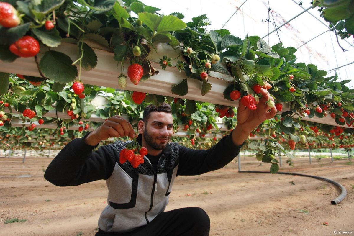 The week in pictures – Middle East Monitor