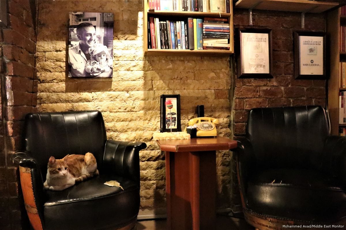 Istanbul cafe opens its door to stray cats – Middle East Monitor