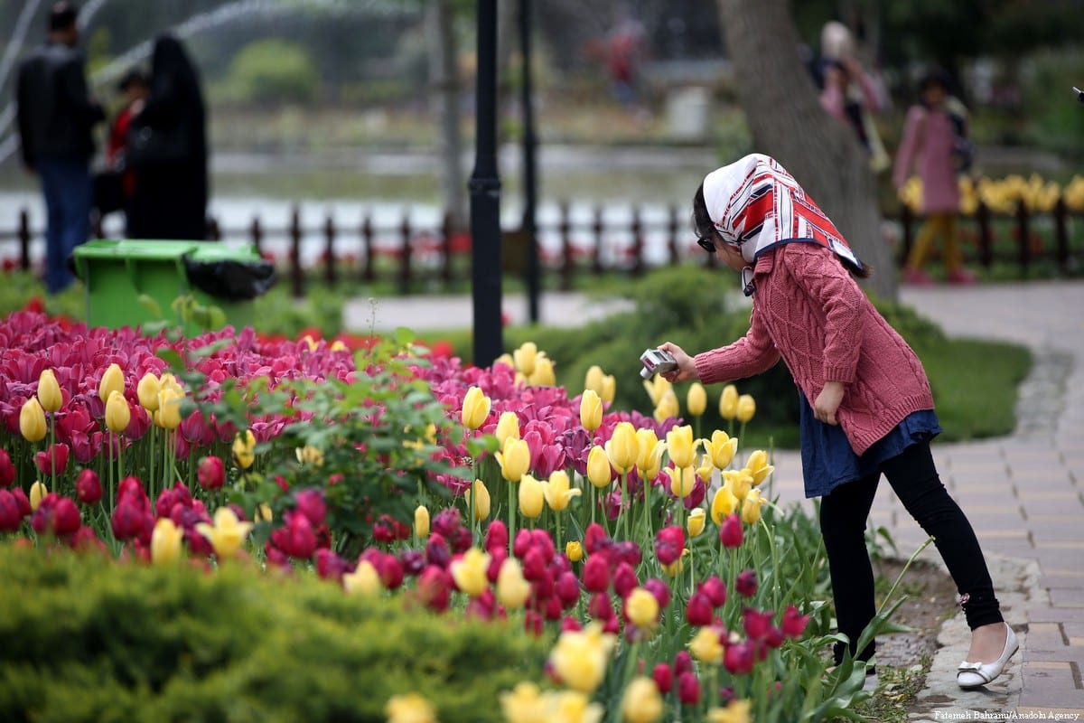 The 6th Tulip Festival in Iran – Middle East Monitor