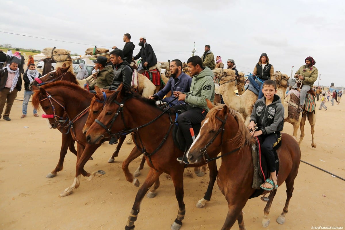 Horse and camel race in Gaza – Middle East Monitor