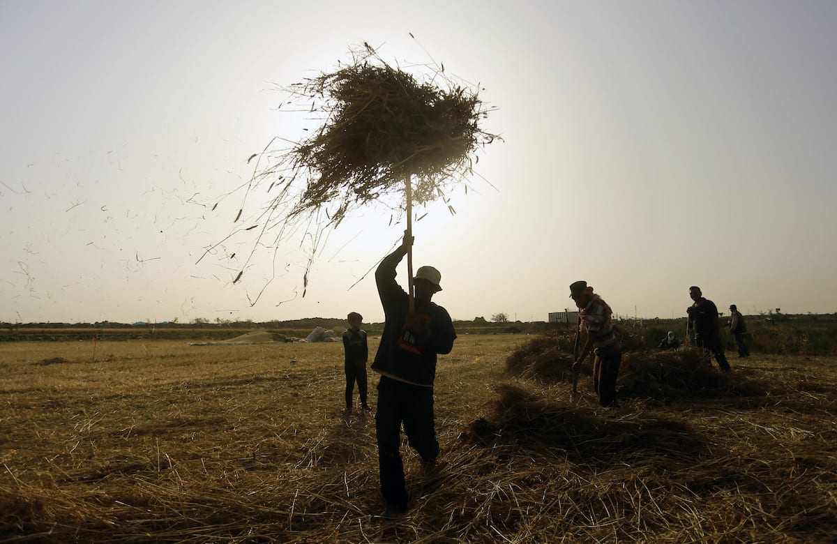 The week in pictures – Middle East Monitor