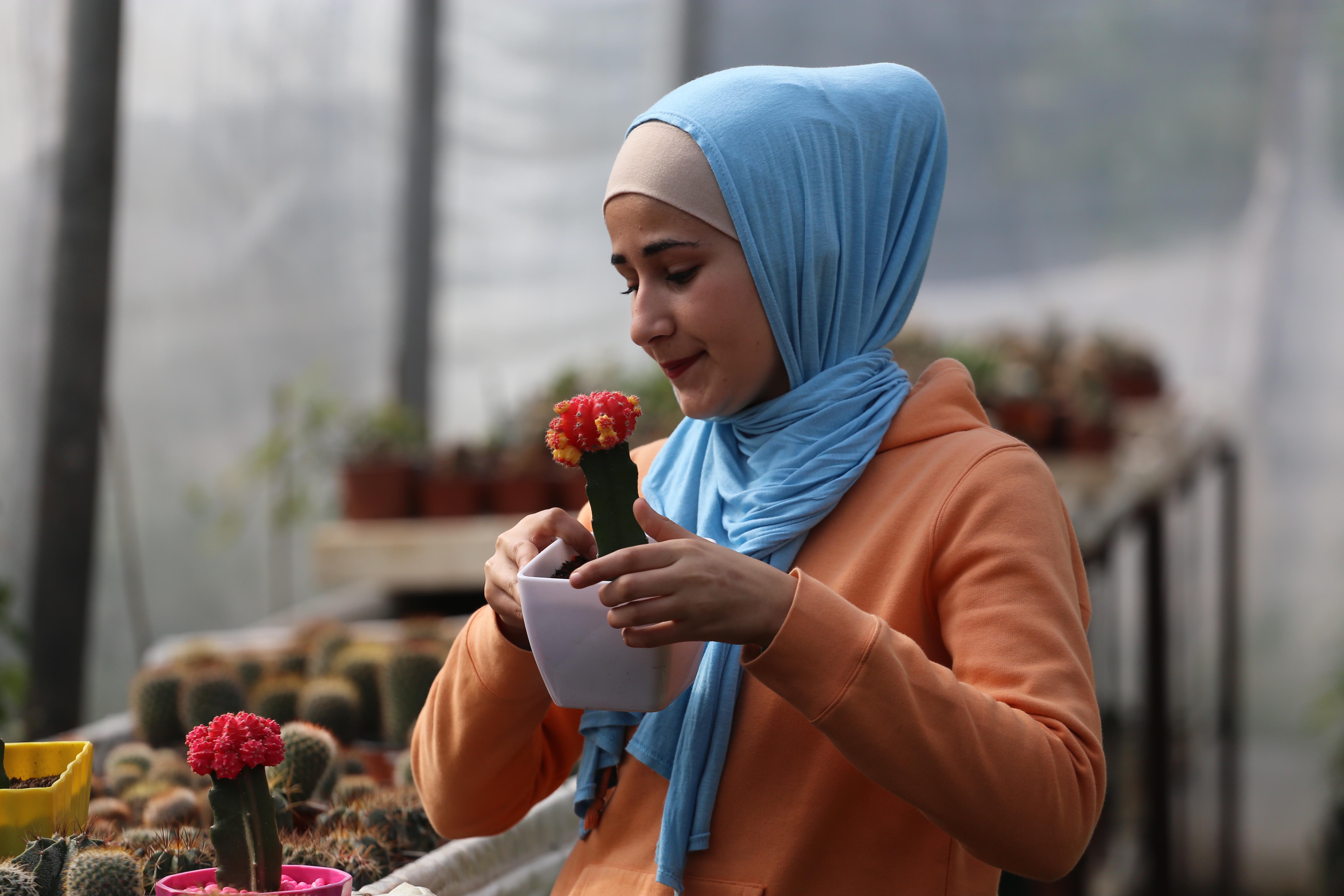 Teenager establishes Gaza’s largest cactus nursery – Middle East Monitor