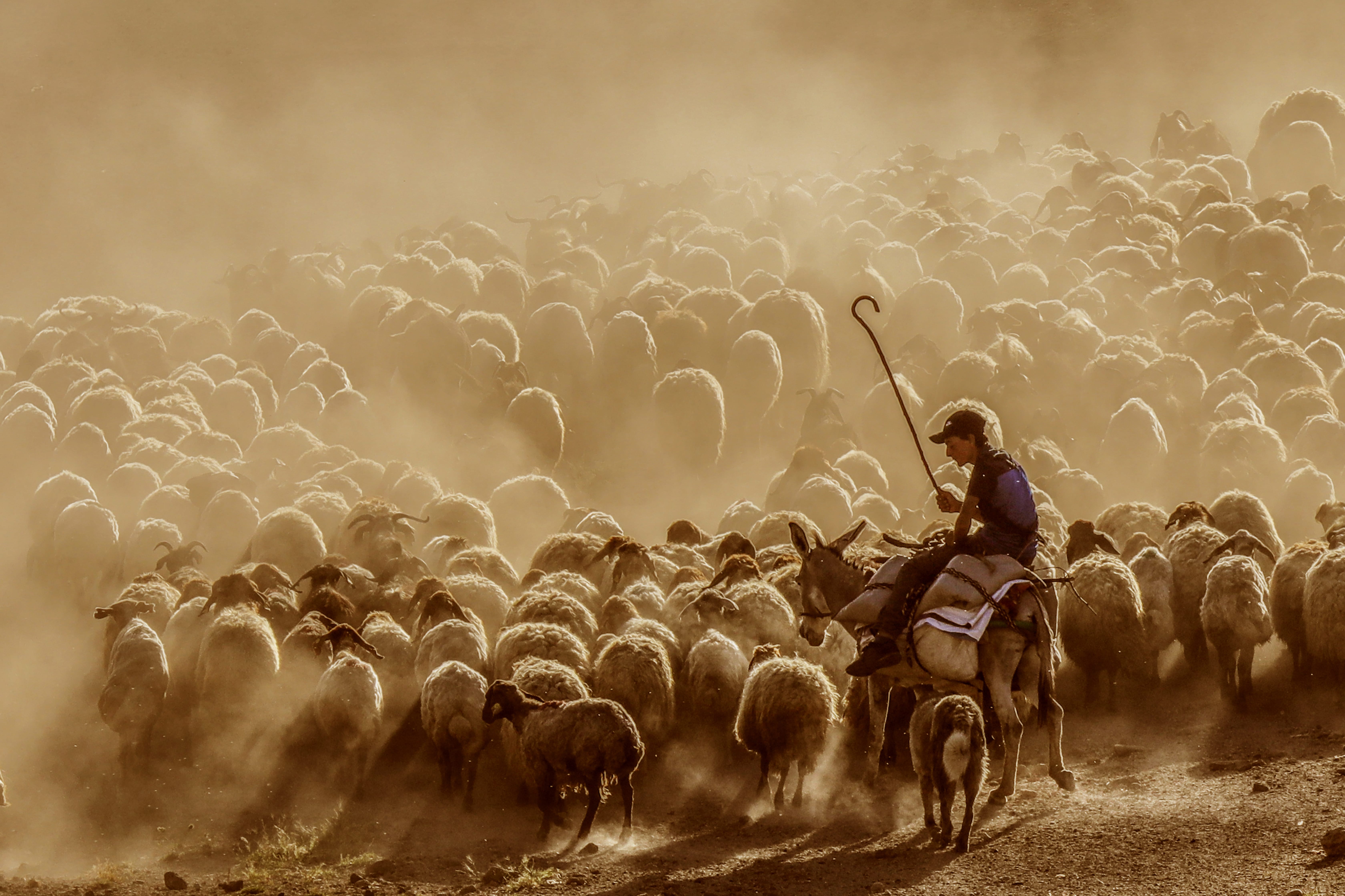 The week in pictures – Middle East Monitor