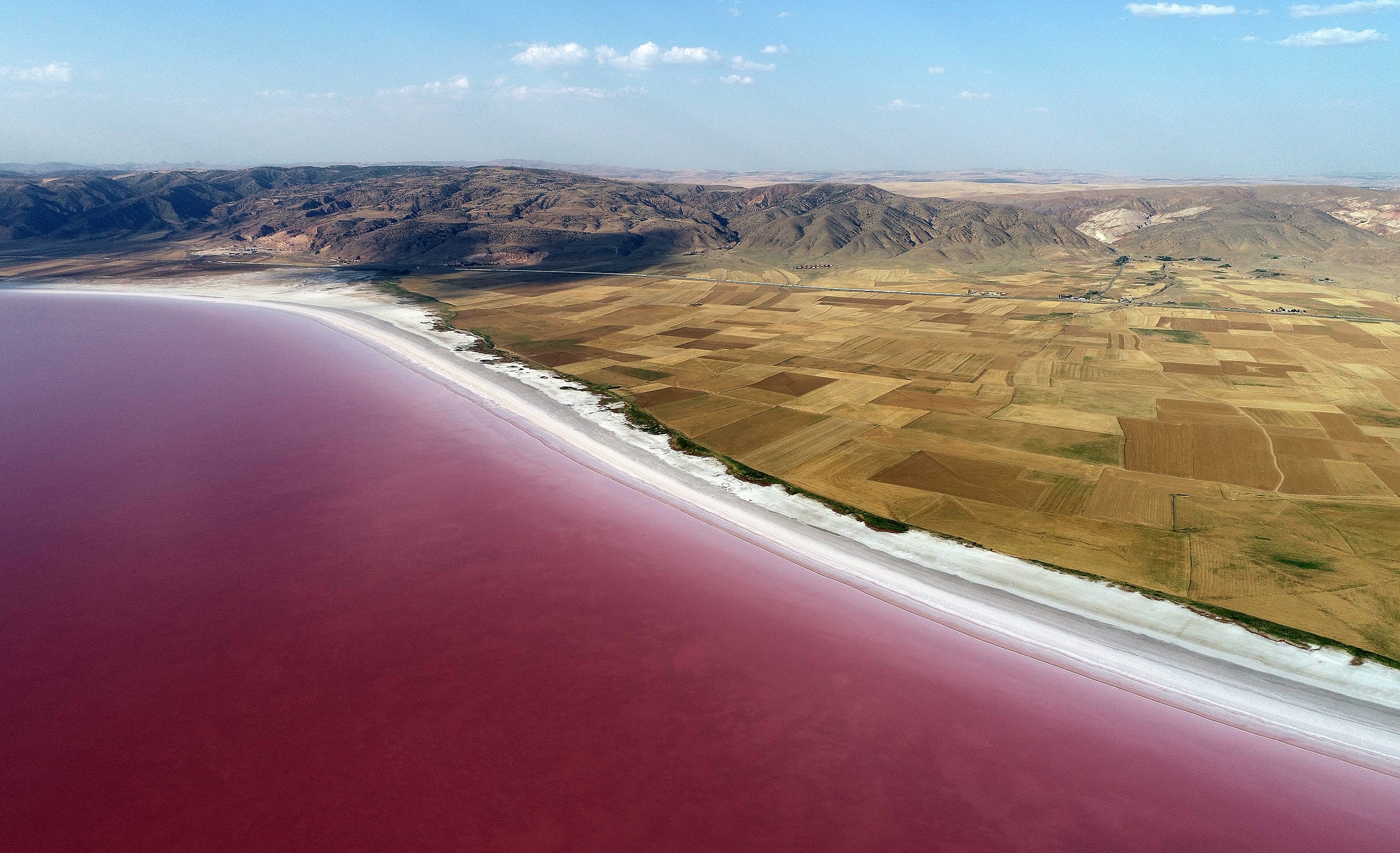 The week in pictures – Middle East Monitor