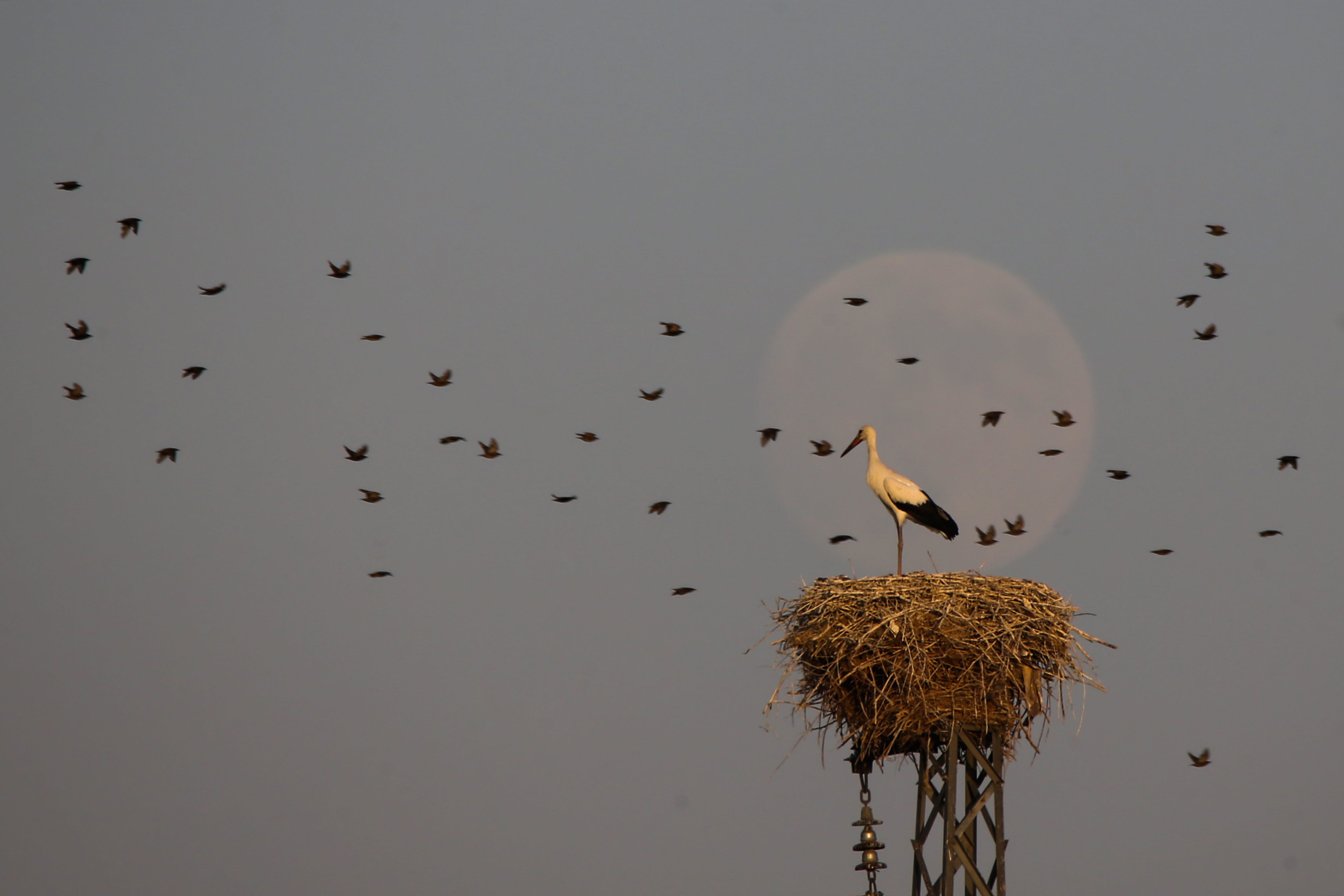 Fullmoon in Turkey’s Van – Middle East Monitor