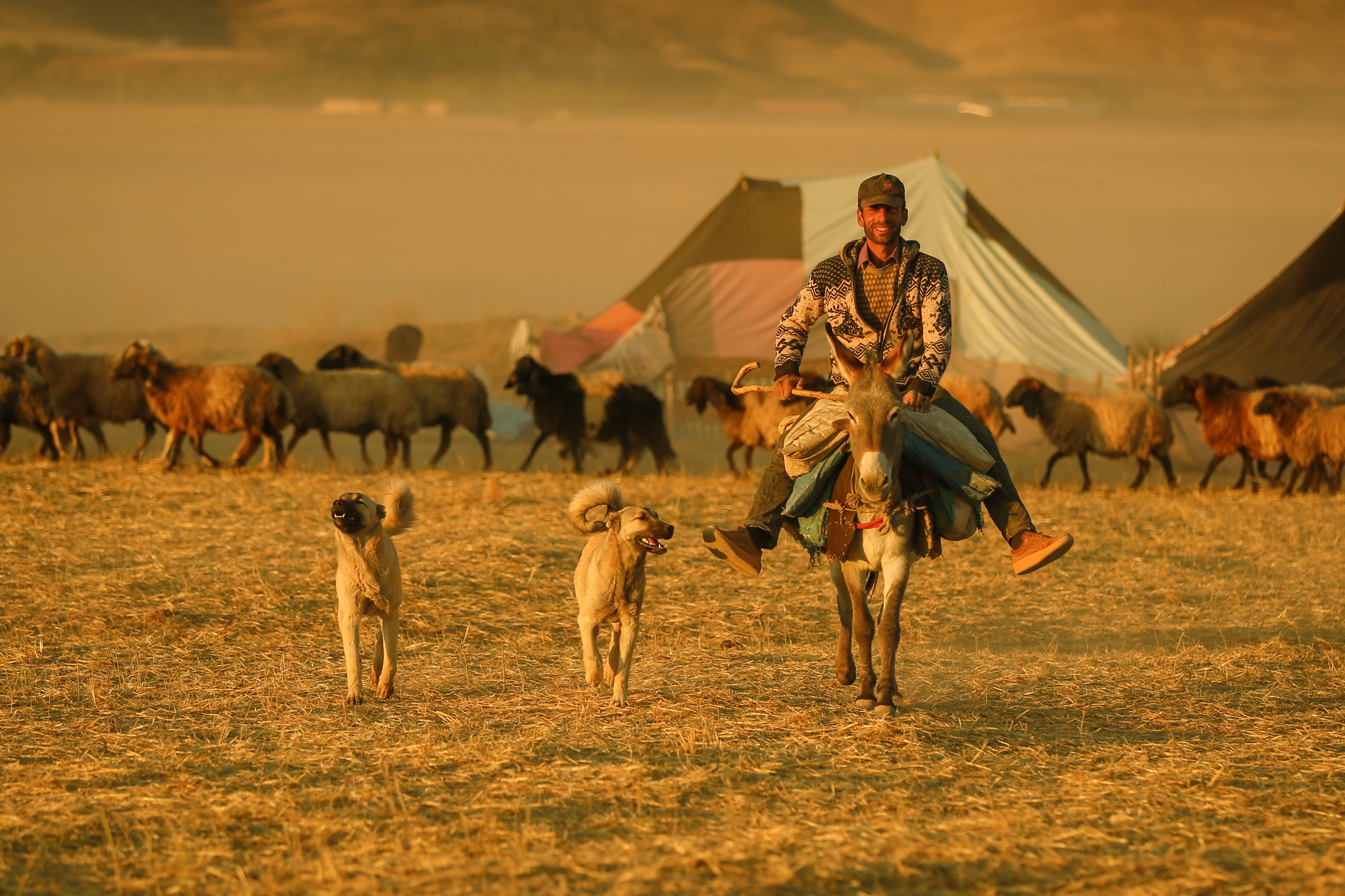 Nomadic lifestyle in Turkey’s Van – Middle East Monitor