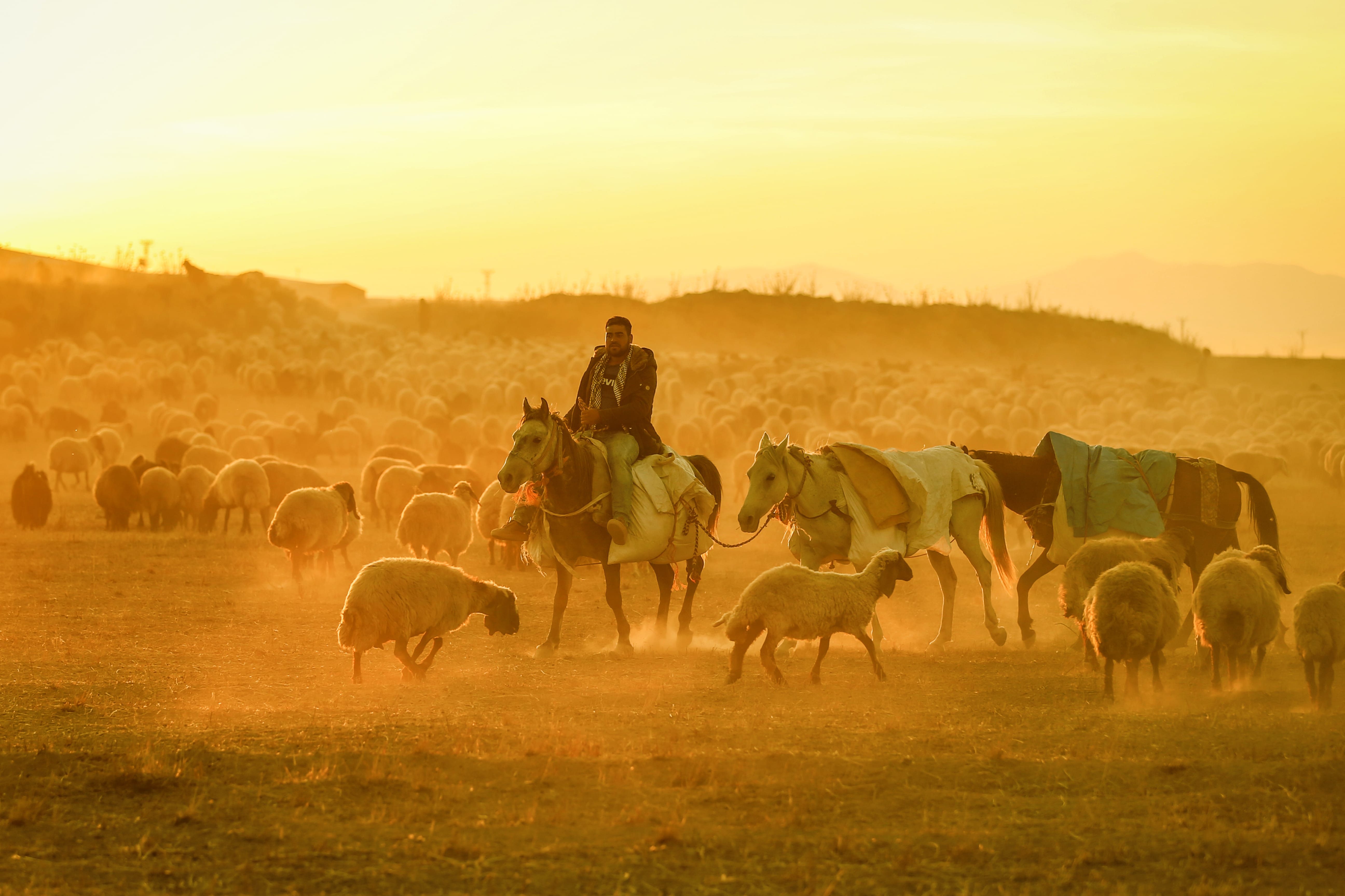 Nomadic lifestyle in Turkey’s Van – Middle East Monitor