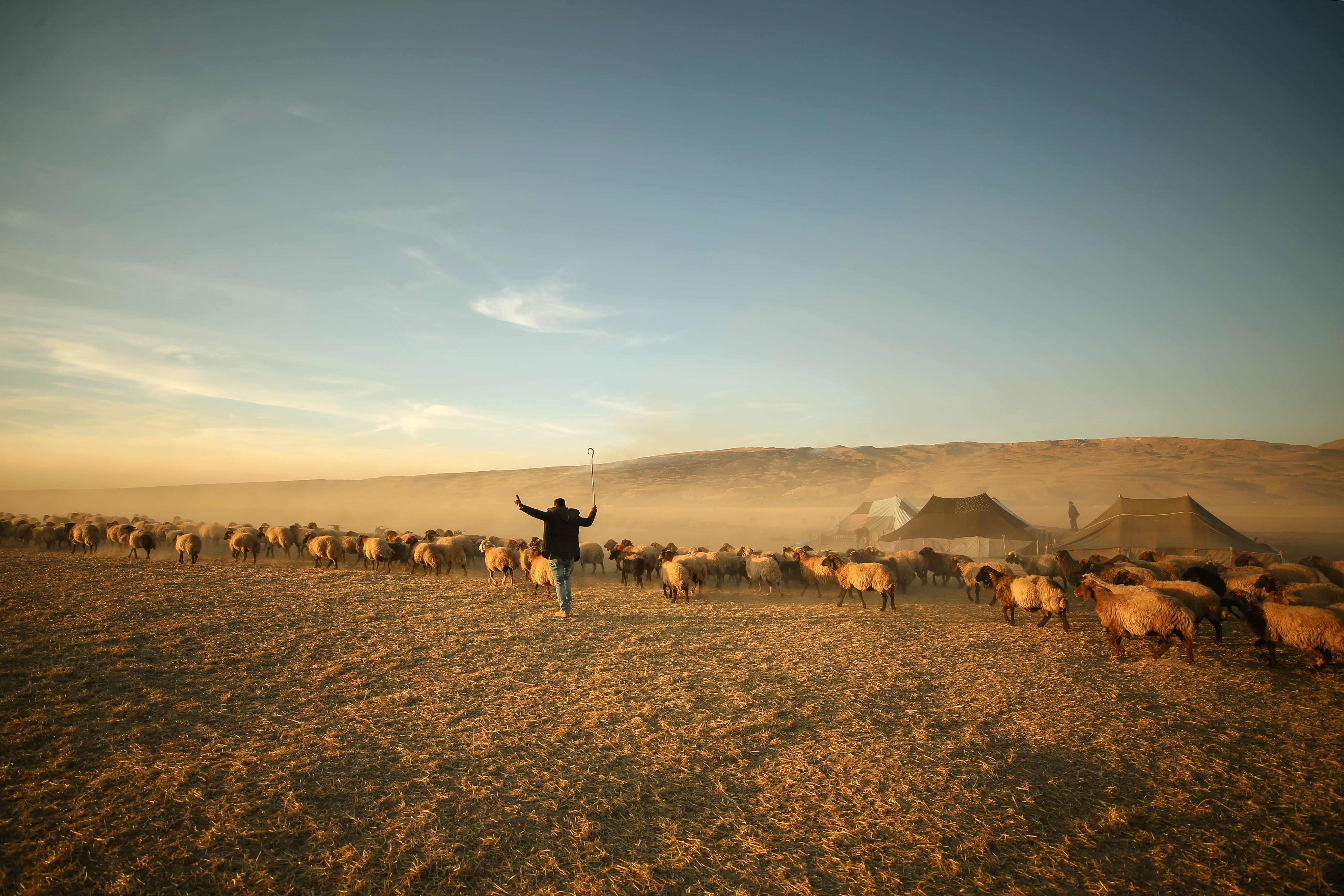 Nomadic lifestyle in Turkey’s Van – Middle East Monitor