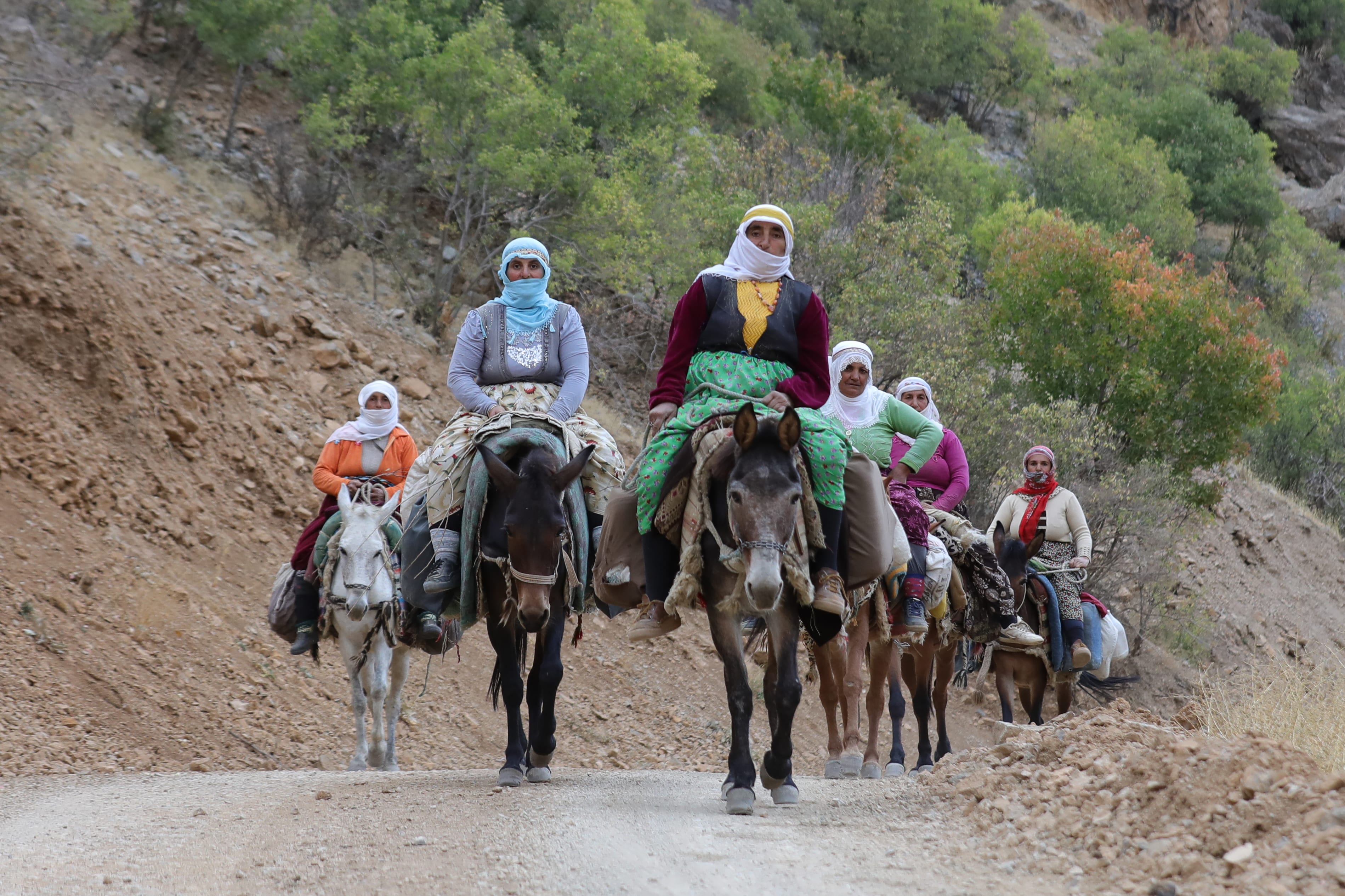 A long journey to the highlands in Eastern Van – Middle East Monitor