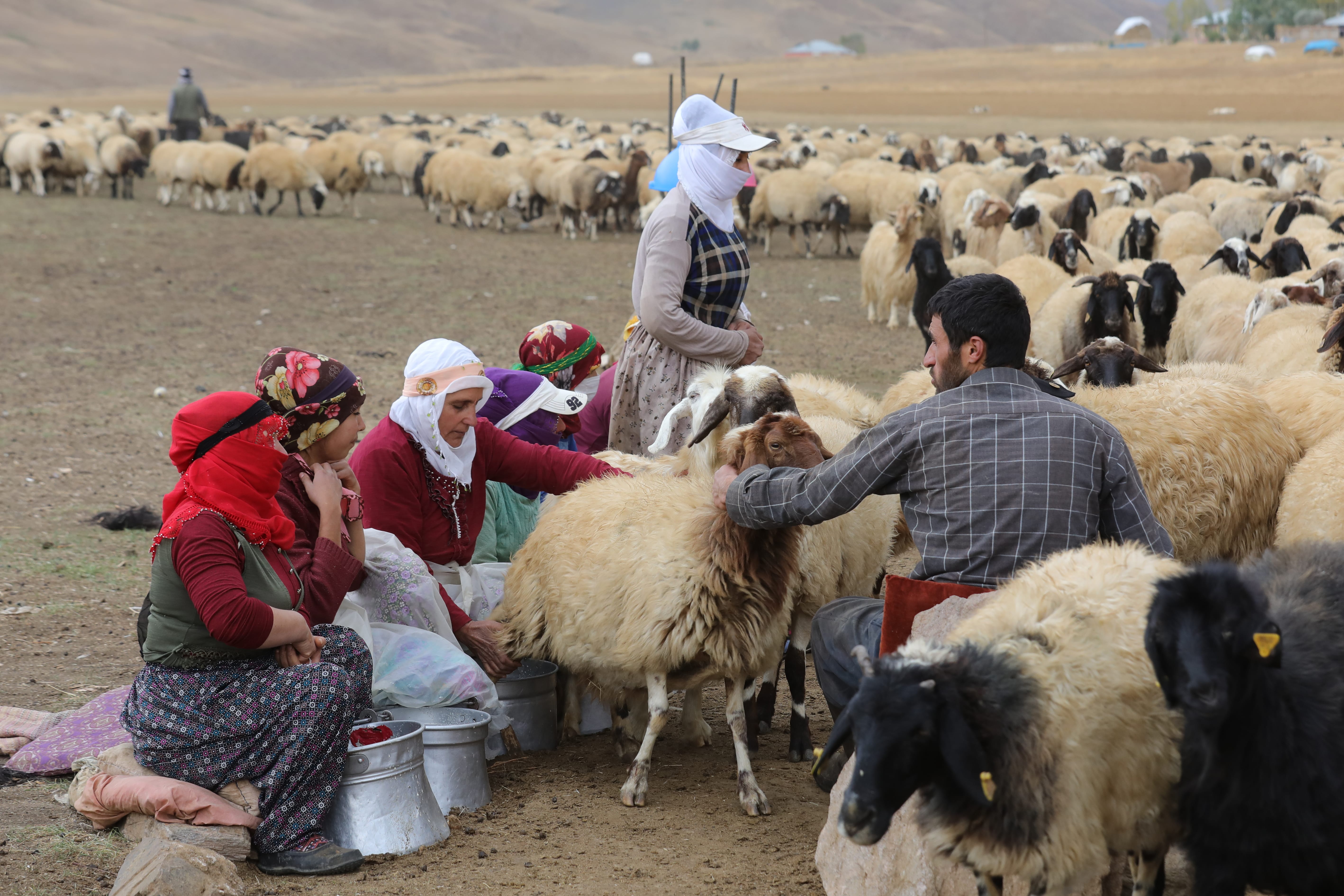 A long journey to the highlands in Eastern Van – Middle East Monitor
