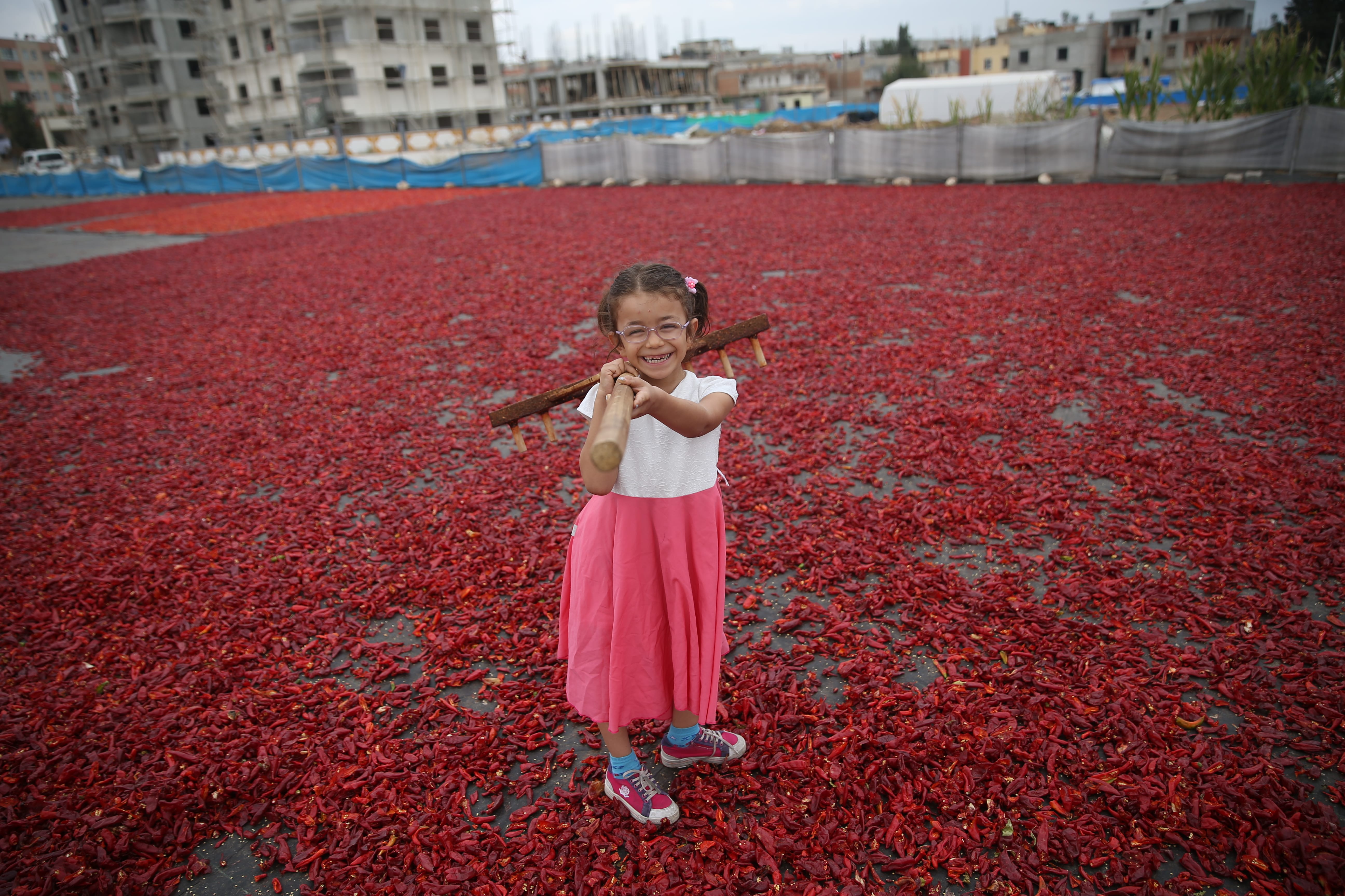 It’s chilli season – Middle East Monitor