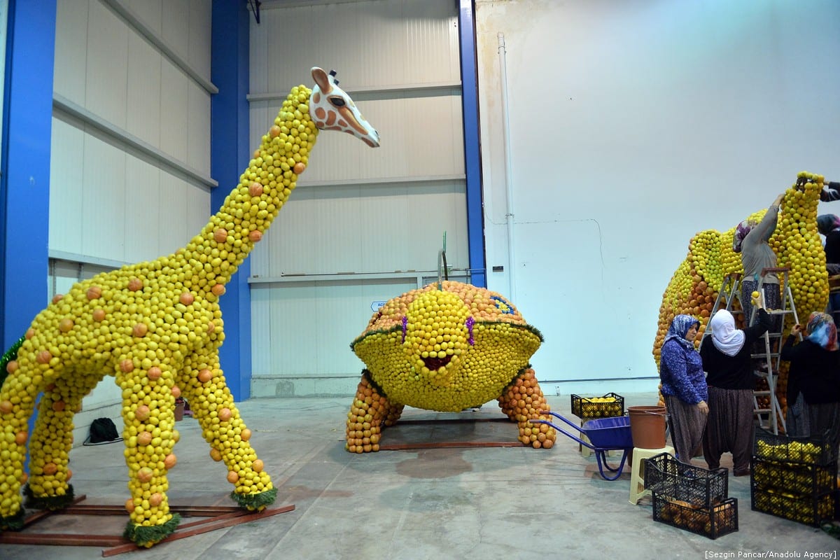 Preparing for Citrus Fest 2018! – Middle East Monitor