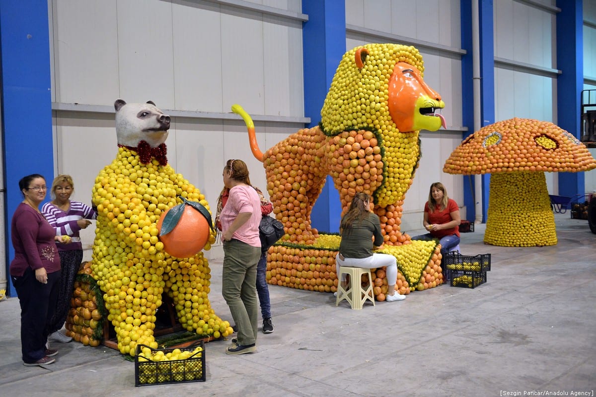 Preparing for Citrus Fest 2018! – Middle East Monitor