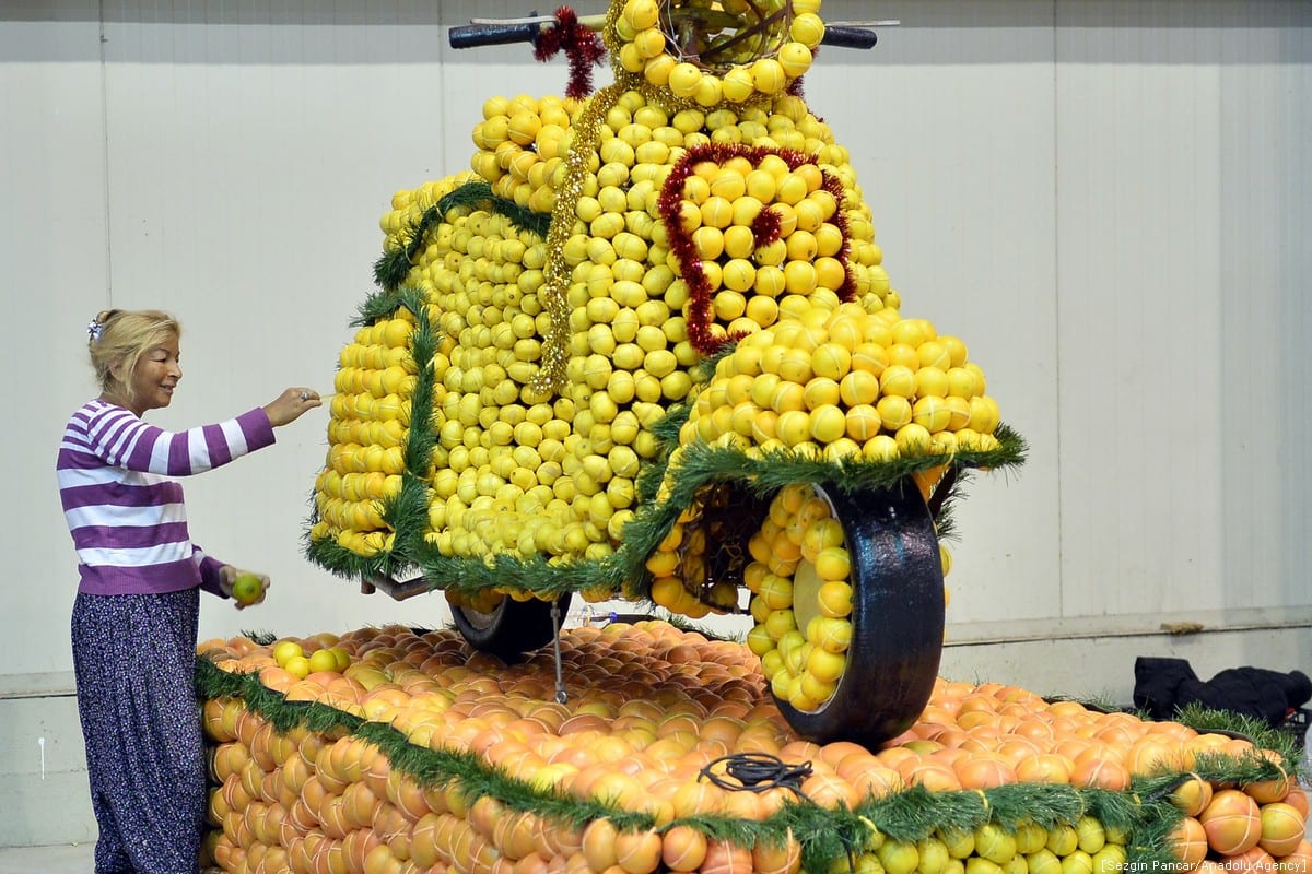 Preparing for Citrus Fest 2018! – Middle East Monitor