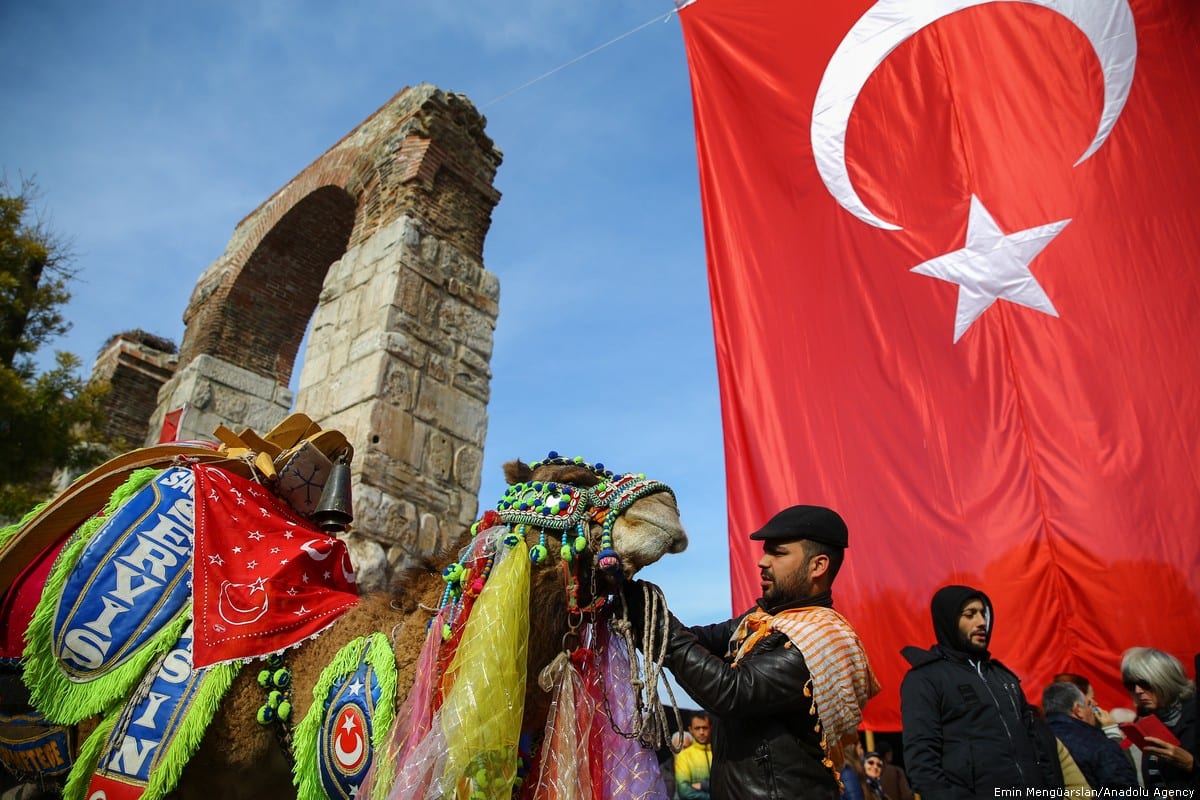 The fanciest camel – Middle East Monitor