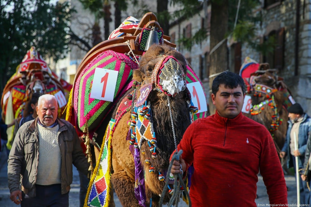 The fanciest camel – Middle East Monitor