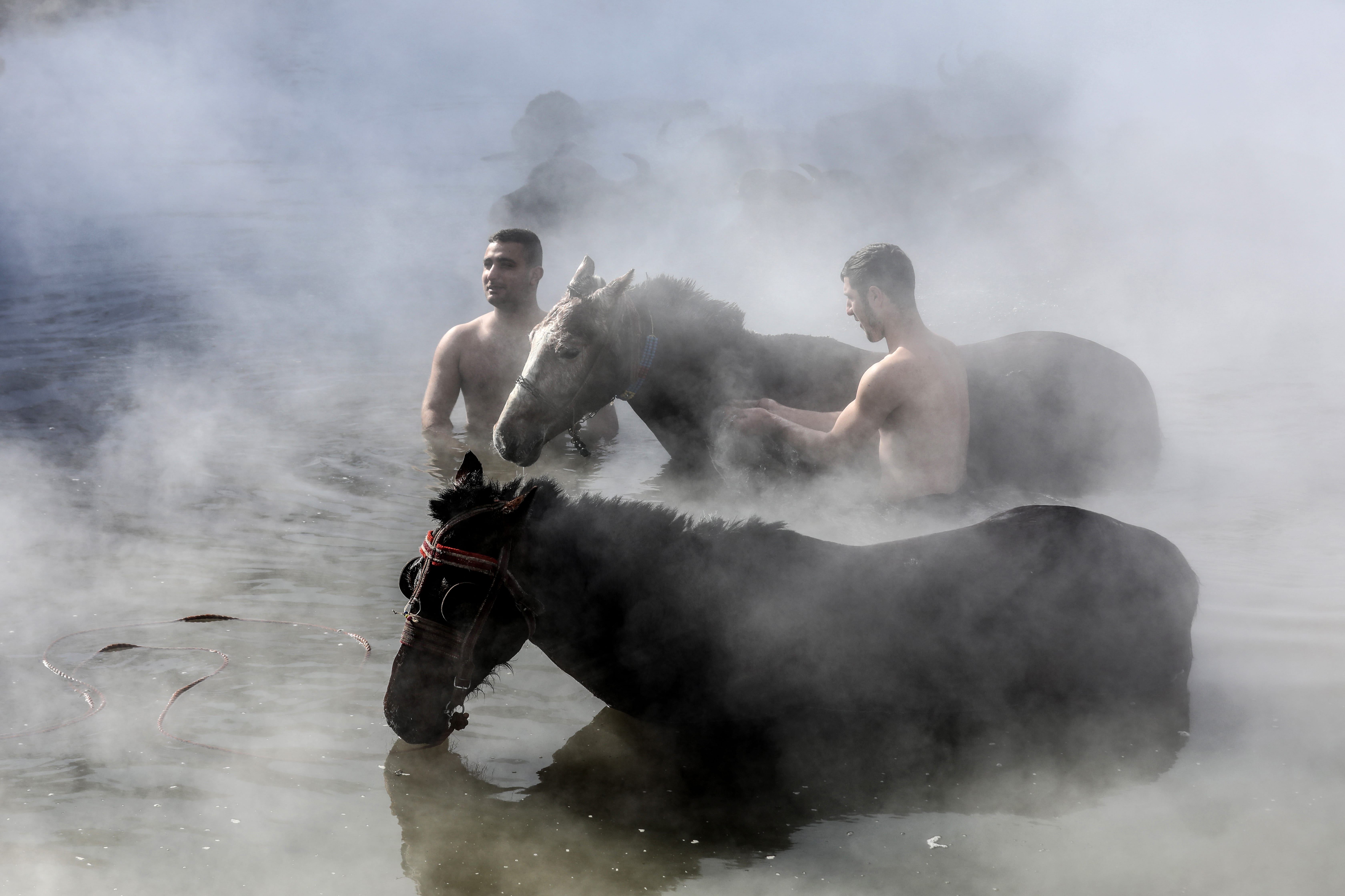Horsing around in a hot spring – Middle East Monitor