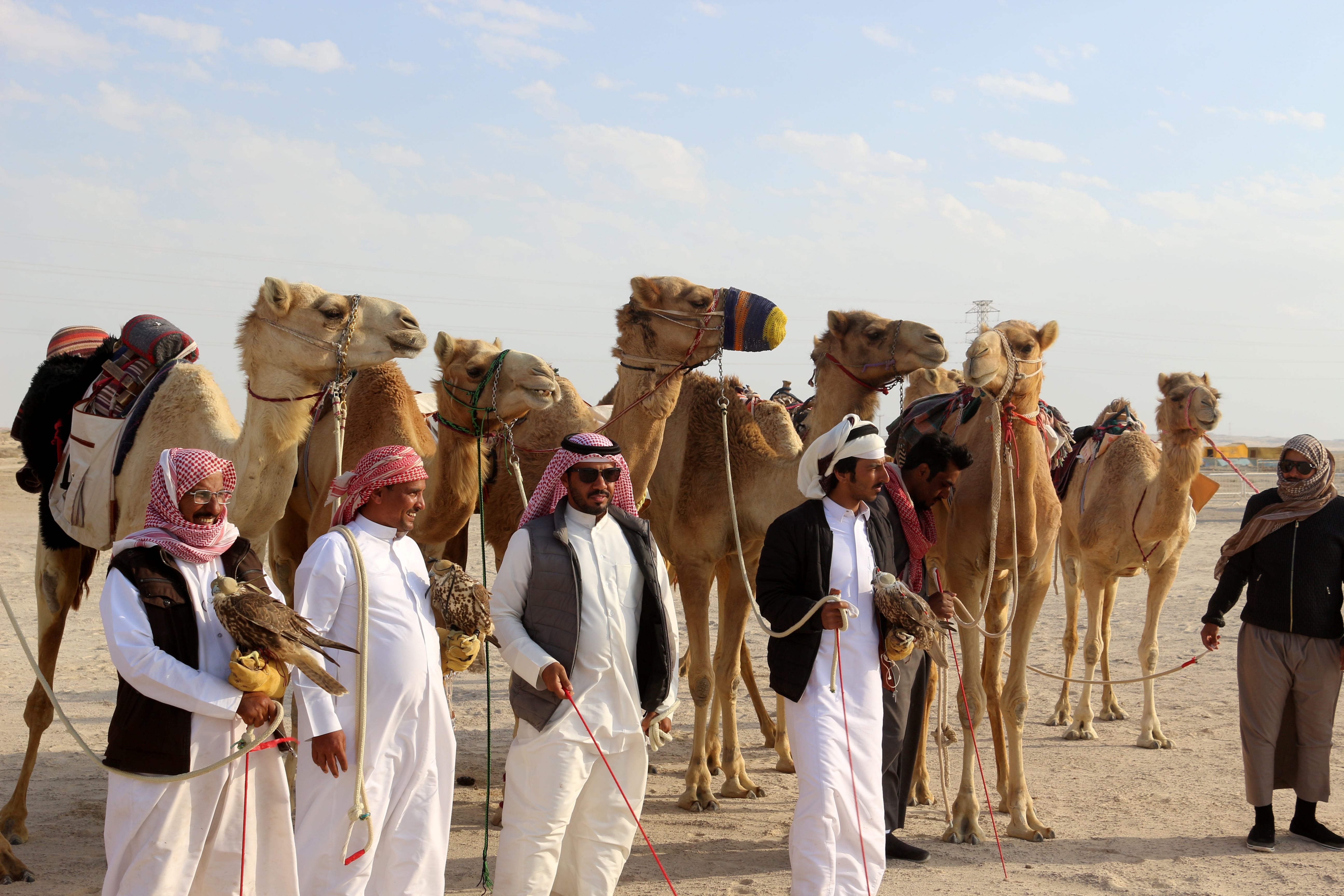 Camel trek – Middle East Monitor