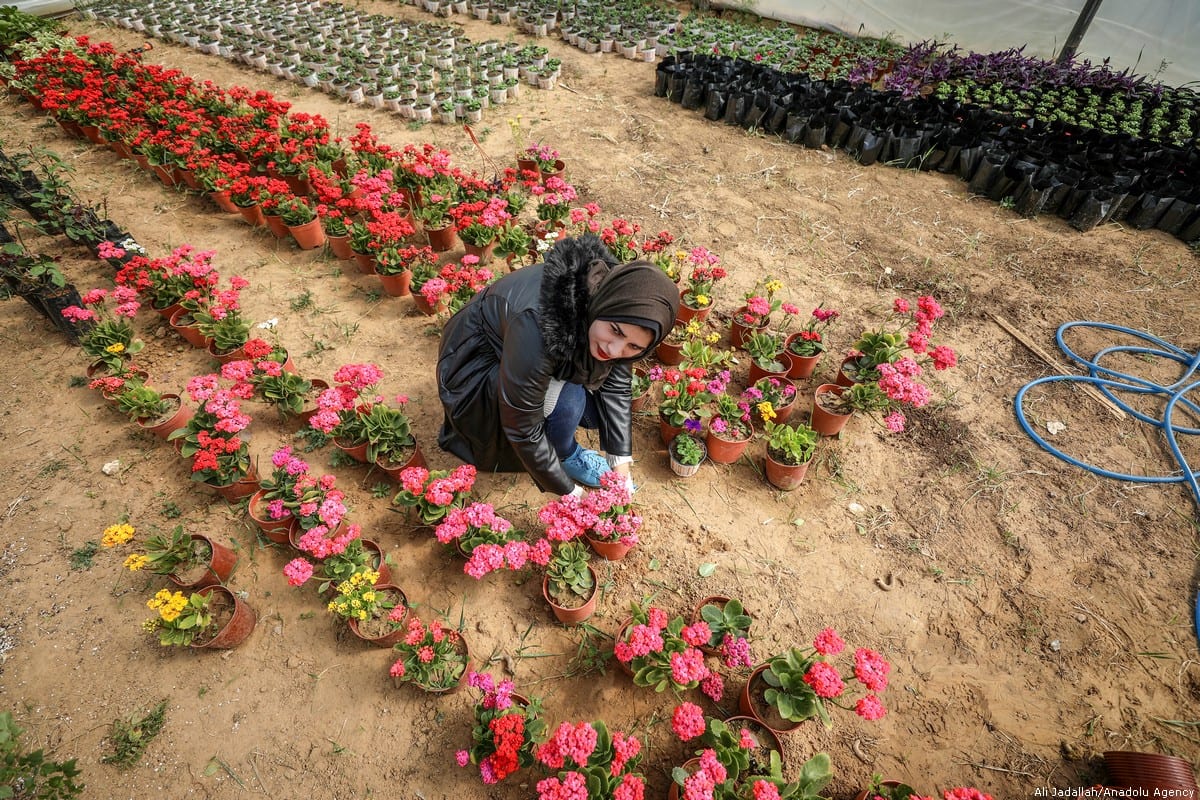 Palestinian woman starts to grow plants – Middle East Monitor