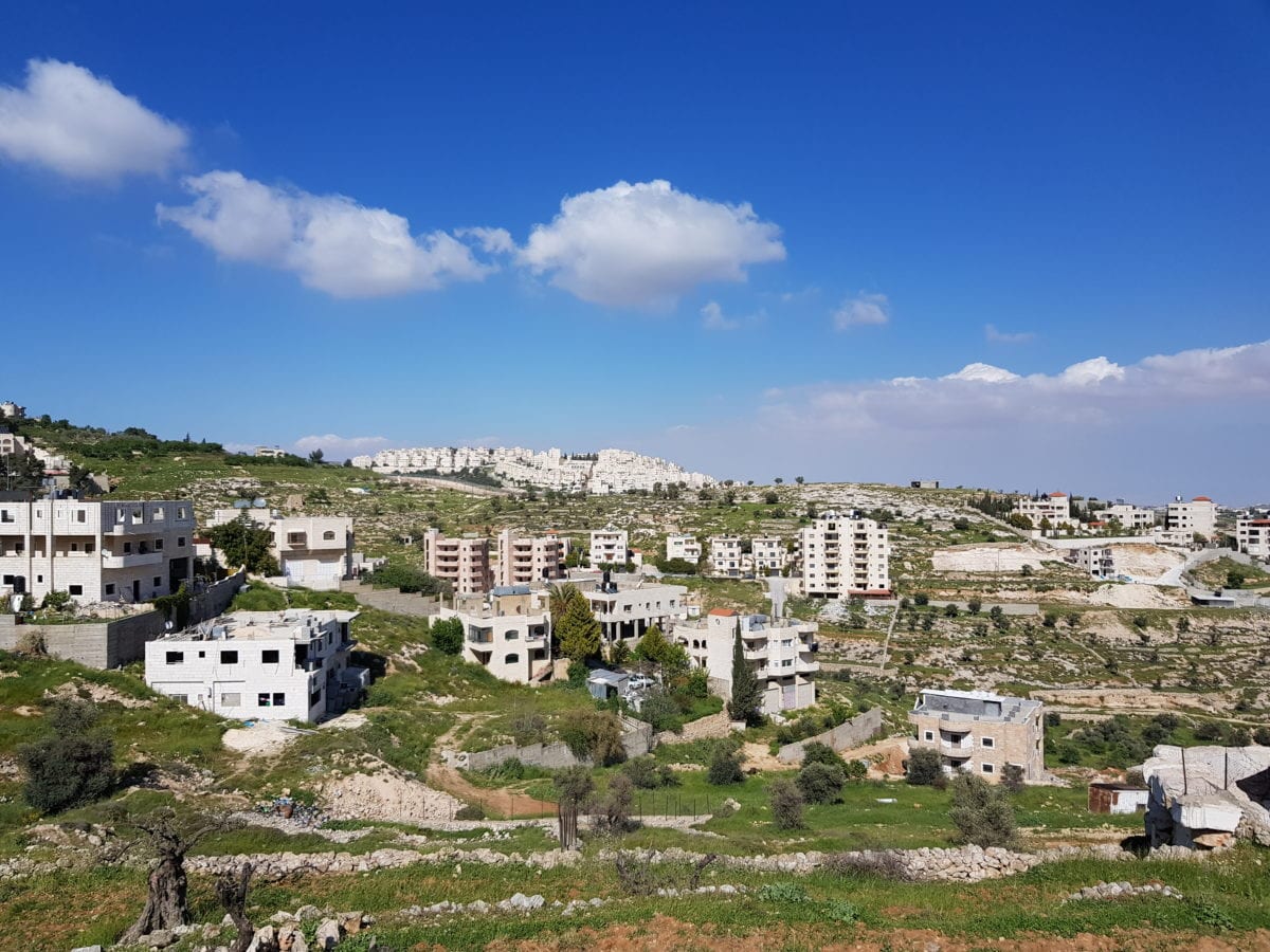 Spring in Palestine – Middle East Monitor