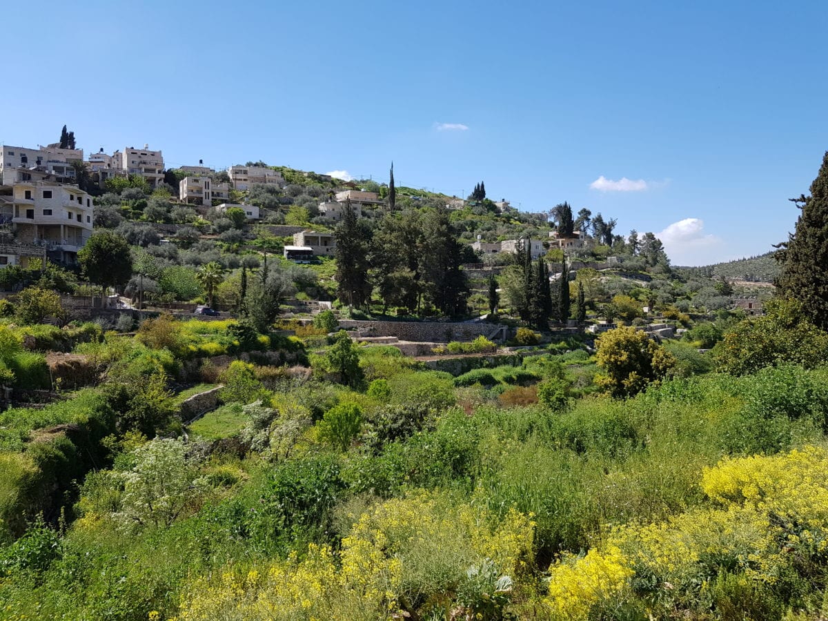 Spring in Palestine – Middle East Monitor