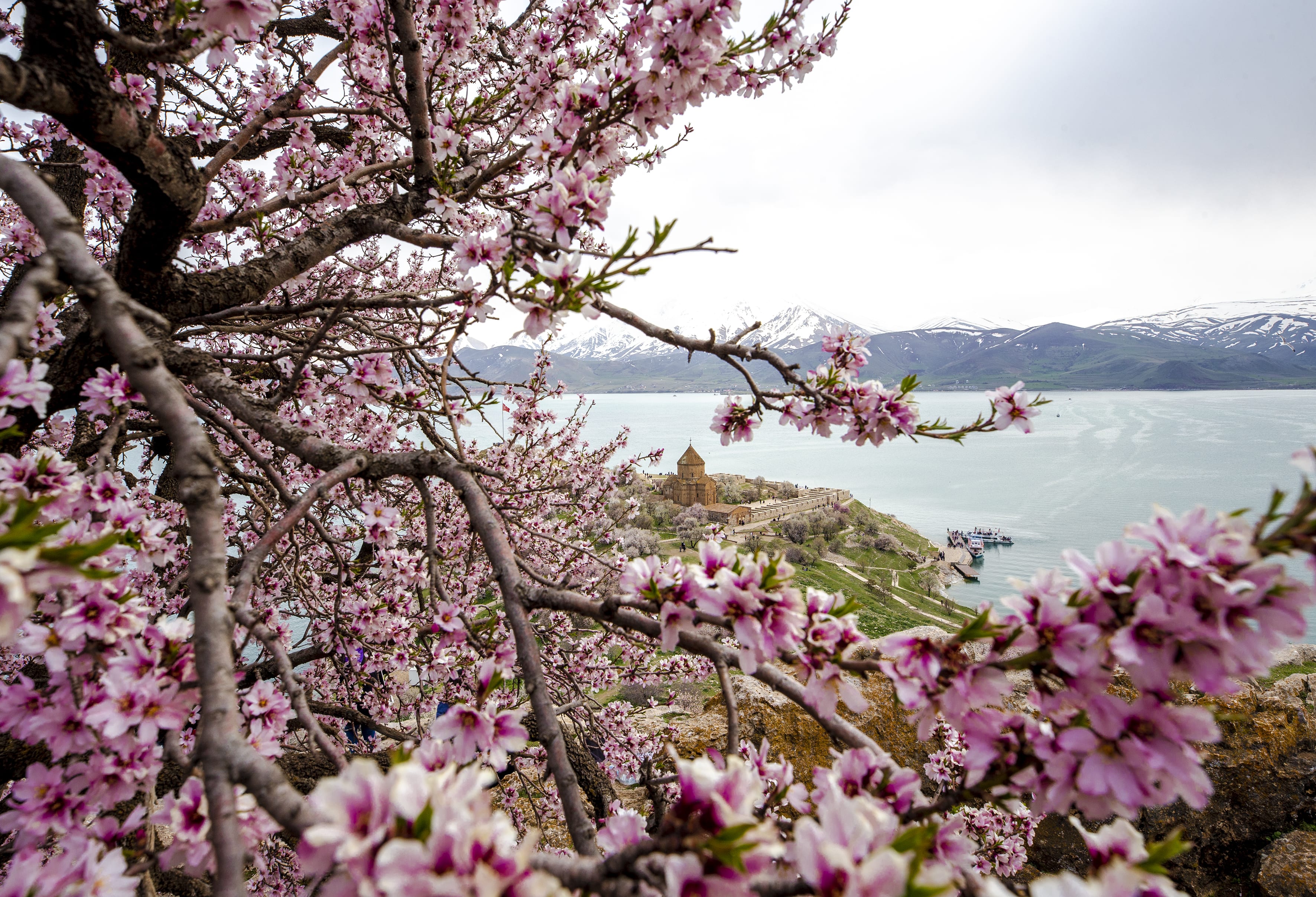 Akdamar church – Middle East Monitor