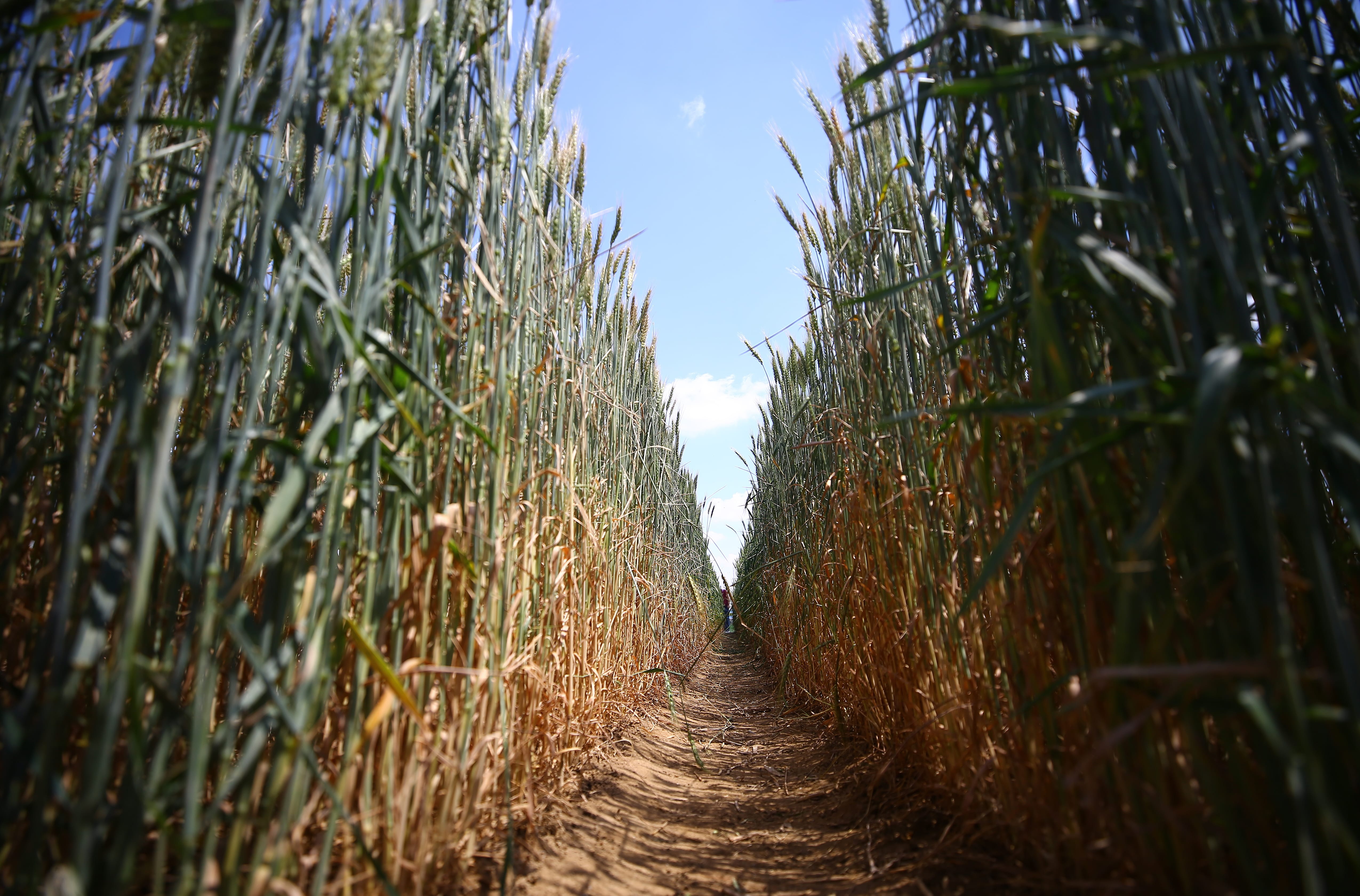 The Week In Pictures – Middle East Monitor