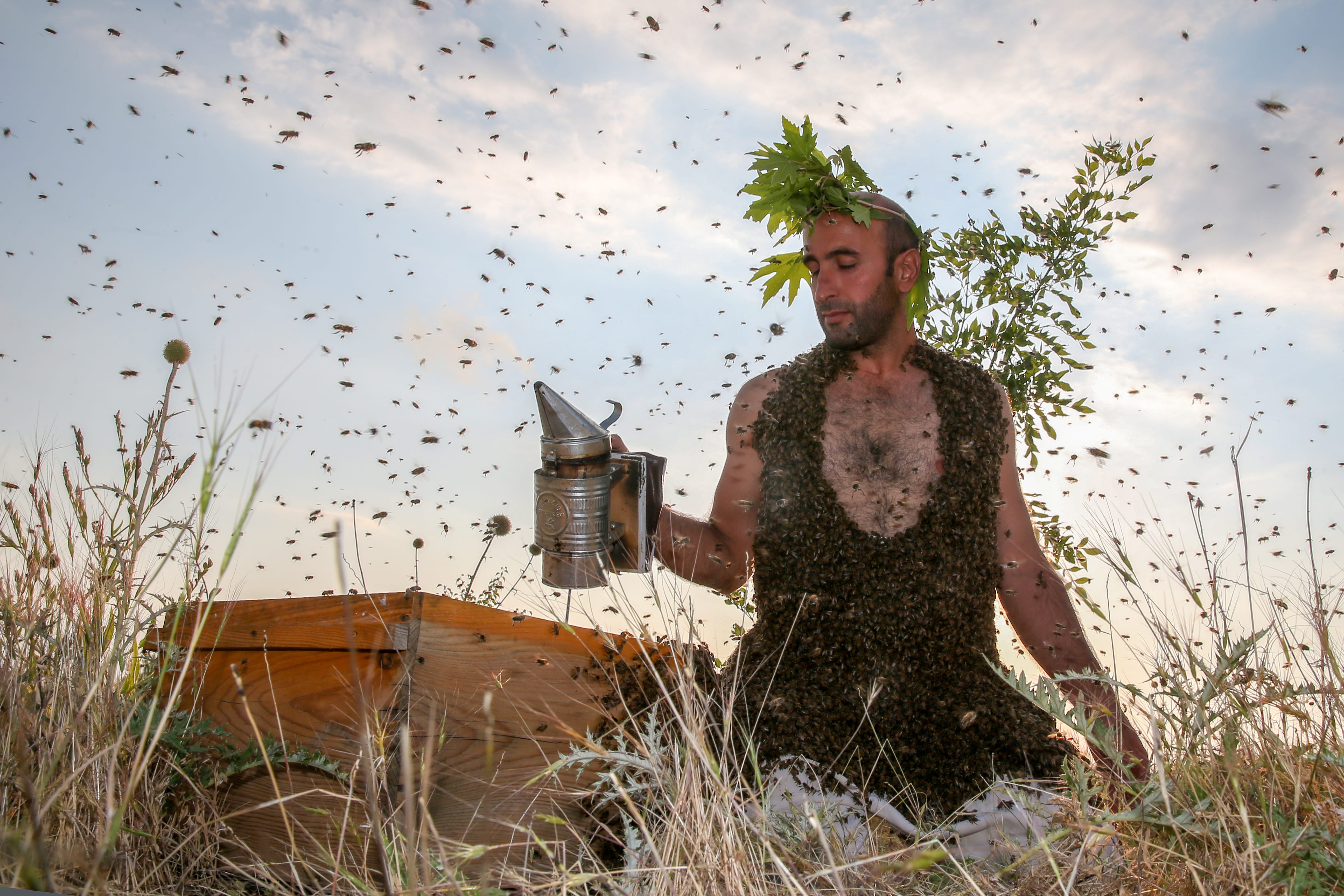 ‘Bee man’ sets sights on new Guinness record for ‘bee wearing’ – Middle ...