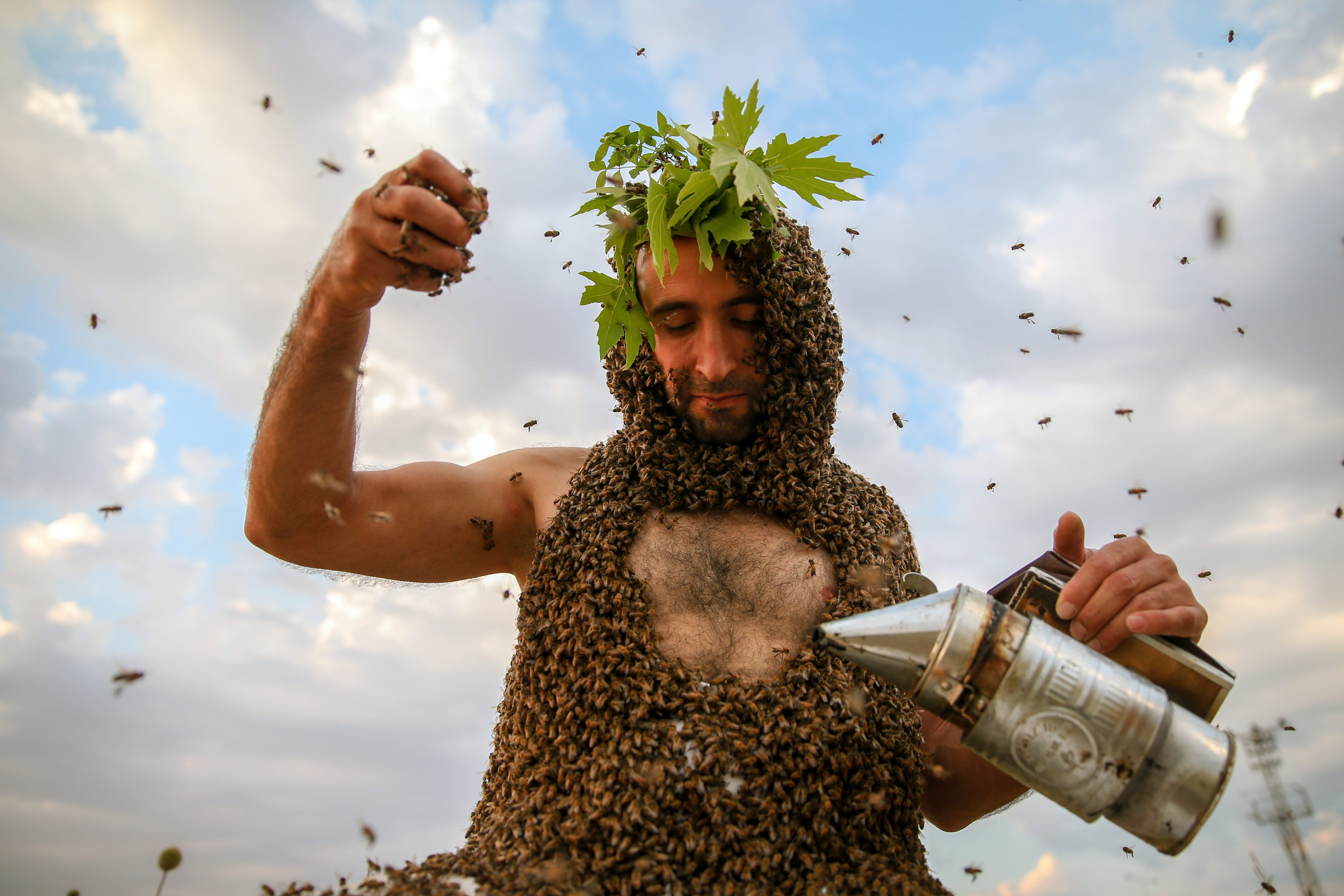 ‘Bee man’ sets sights on new Guinness record for ‘bee wearing’ – Middle ...