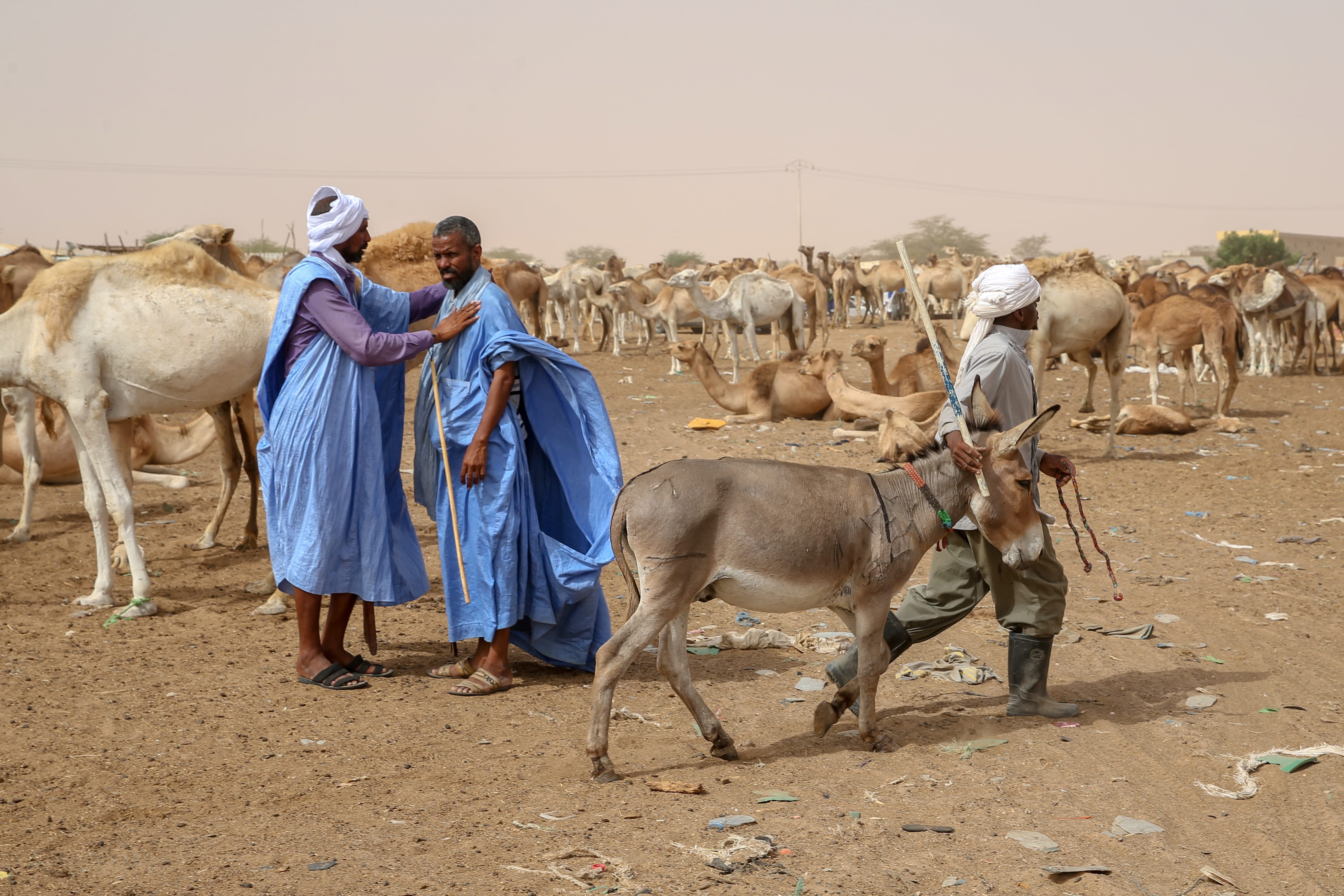 Difficult Eid al-Adha in Mauritania – Middle East Monitor
