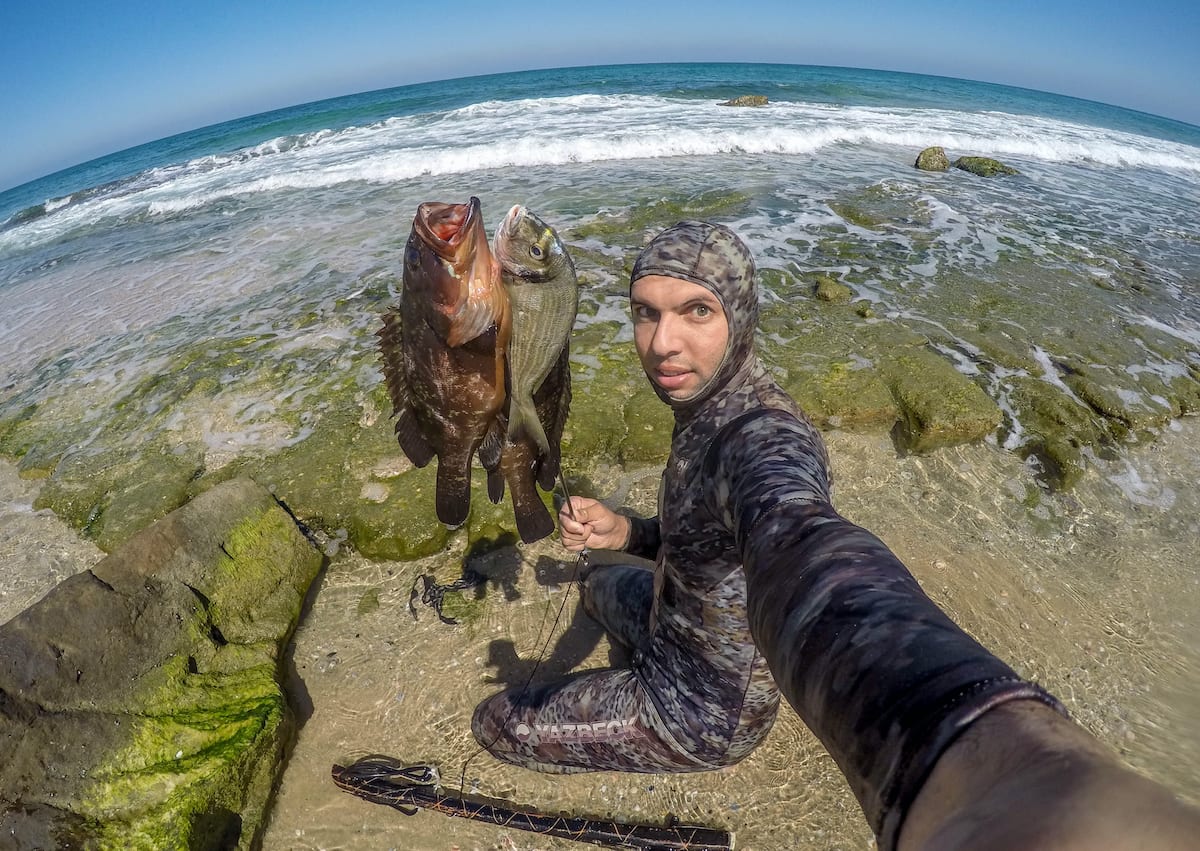 MEMO photographer starts to document Gaza’s marine life – Middle East ...