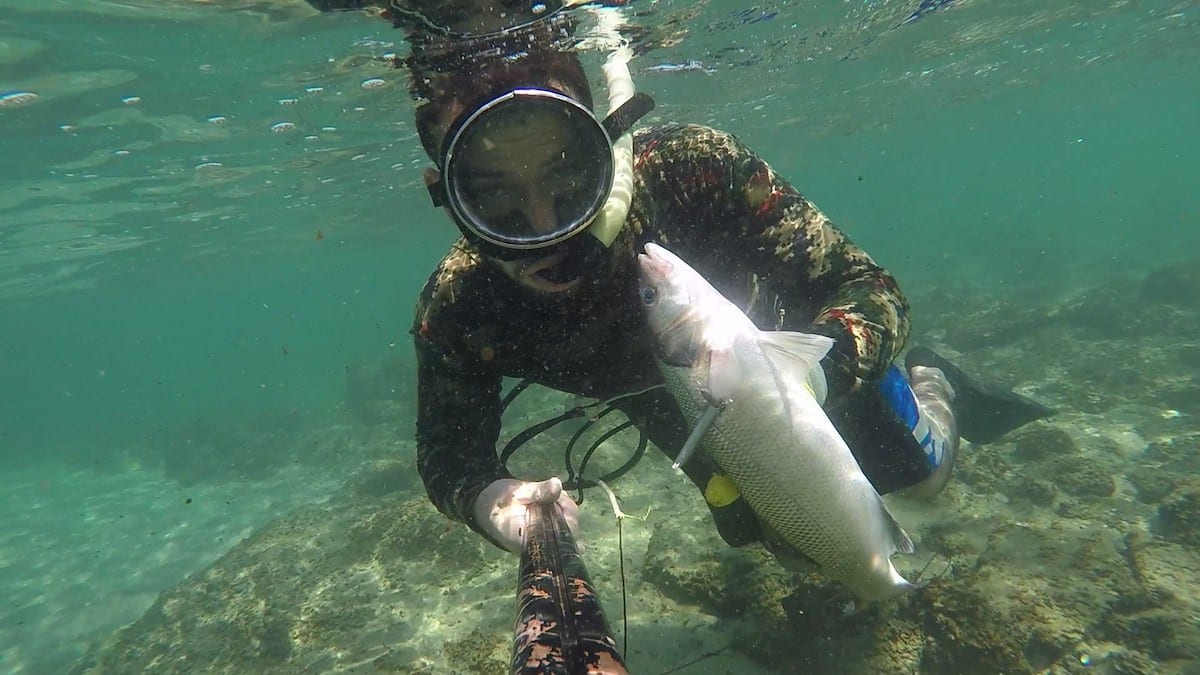 MEMO photographer starts to document Gaza’s marine life – Middle East ...